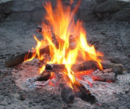 DIY Fire Starters : 4 Steps - Instructables