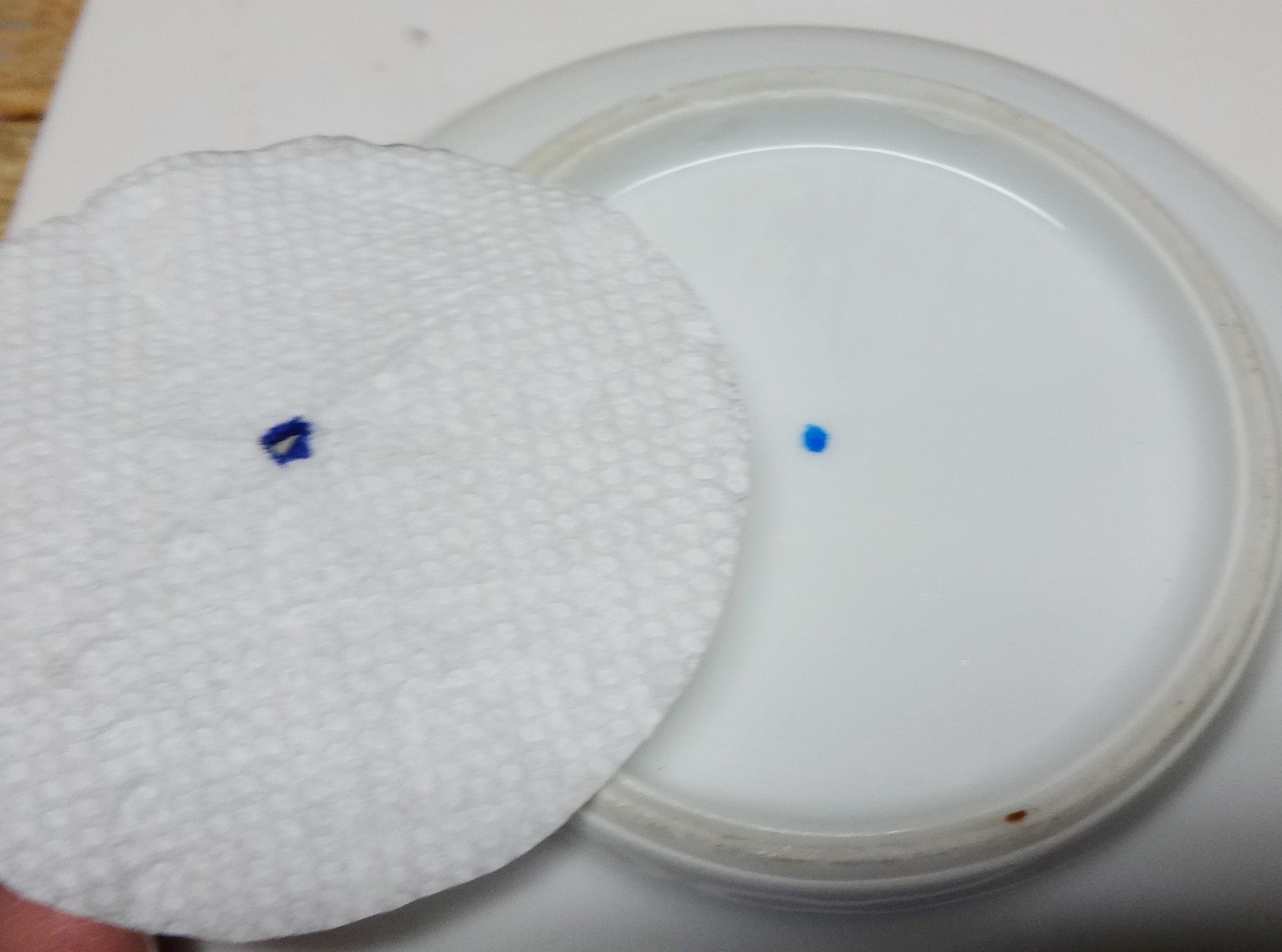 Tea Cup Lamp, Coffee Cup Lamp : 13 Steps (with Pictures) - Instructables