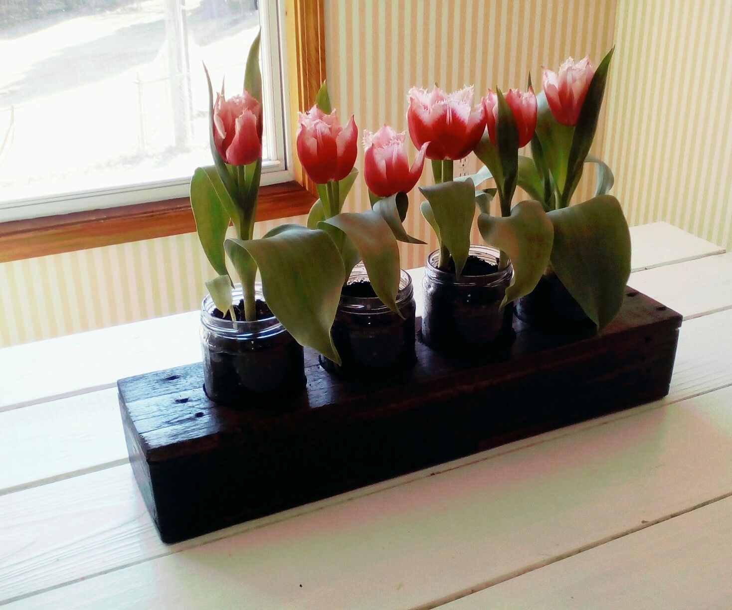 Indoor Flower Garden : 6 Steps (with Pictures) - Instructables