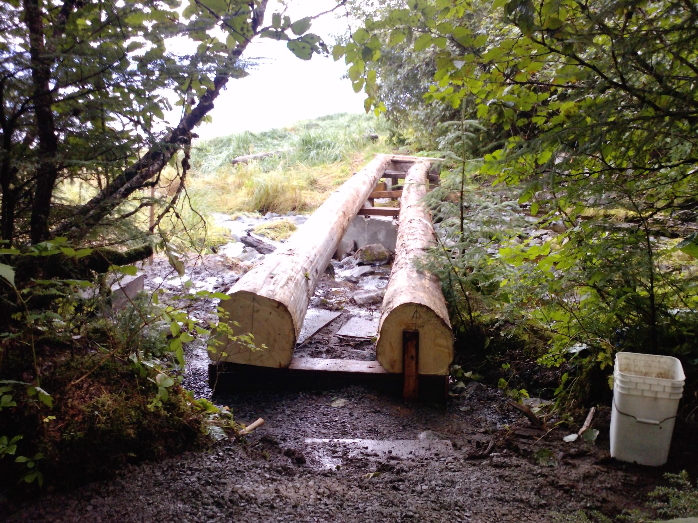 A Cantilevered Foot Bridge Out of Logs - With a Hut! : 9 Steps (with ...