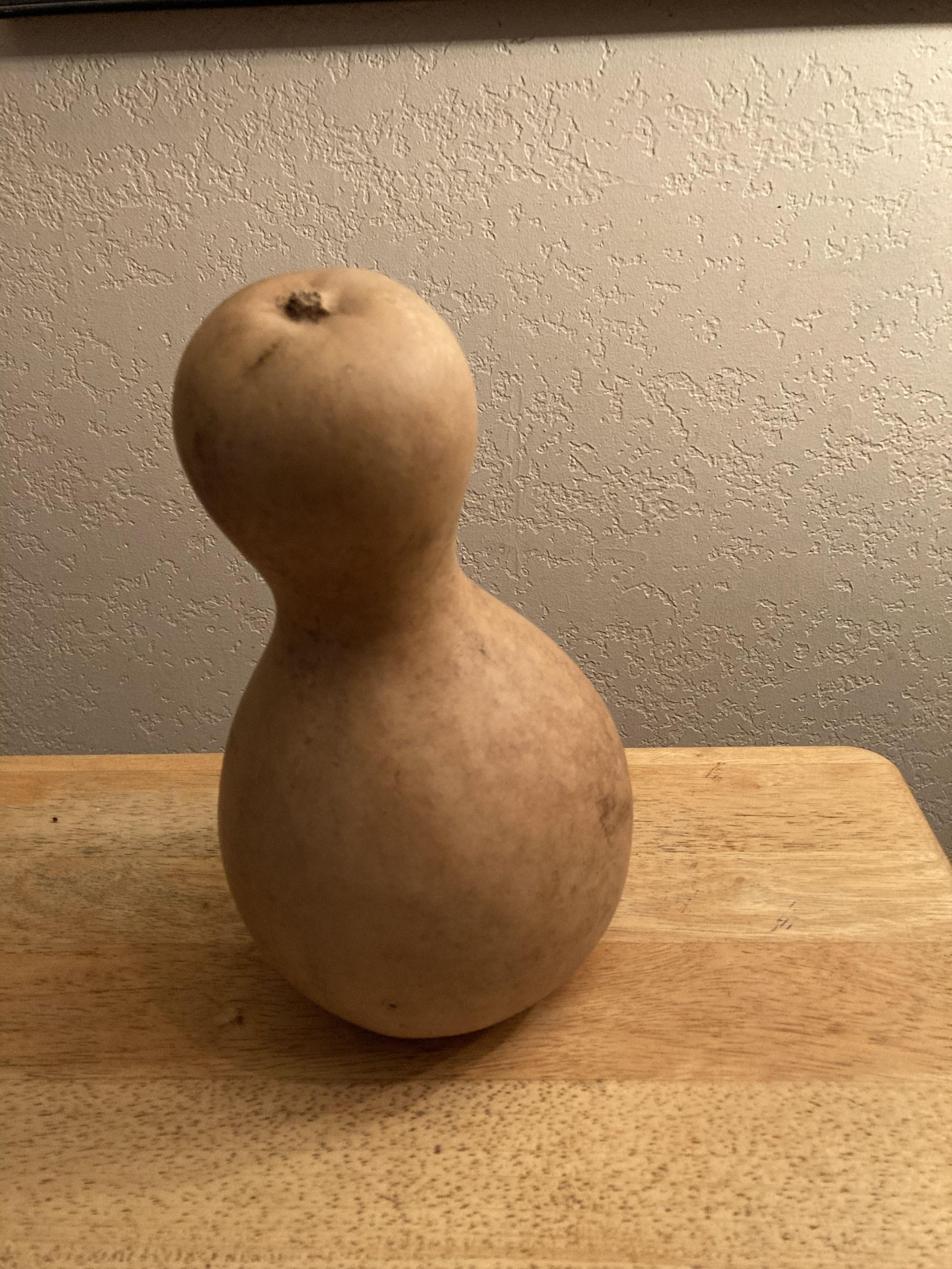 Pumpkin Bat Gourd : 6 Steps (with Pictures) - Instructables