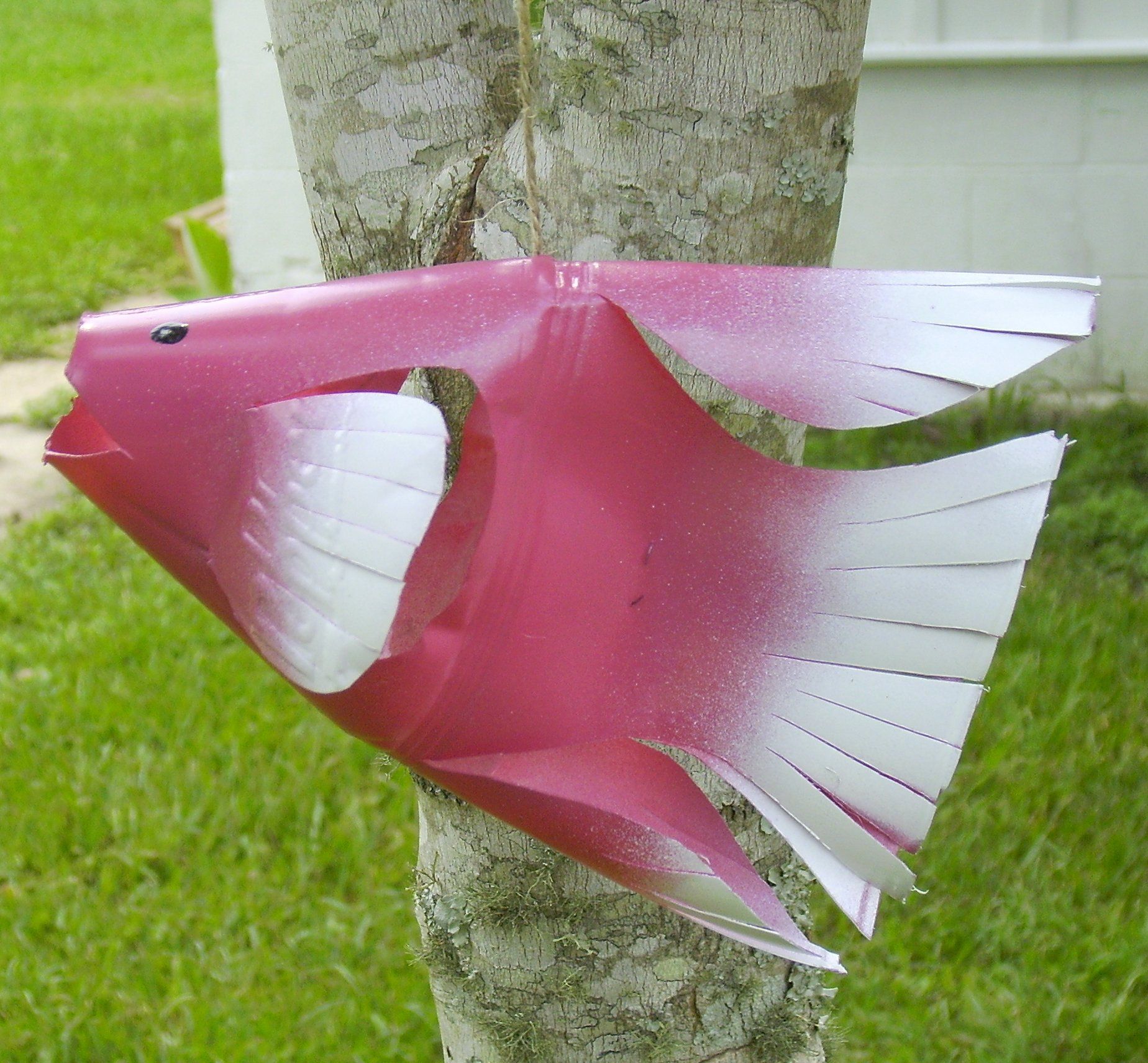 Suncatcher Fish Recycled From a 20oz Soda Bottle : 9 Steps - Instructables