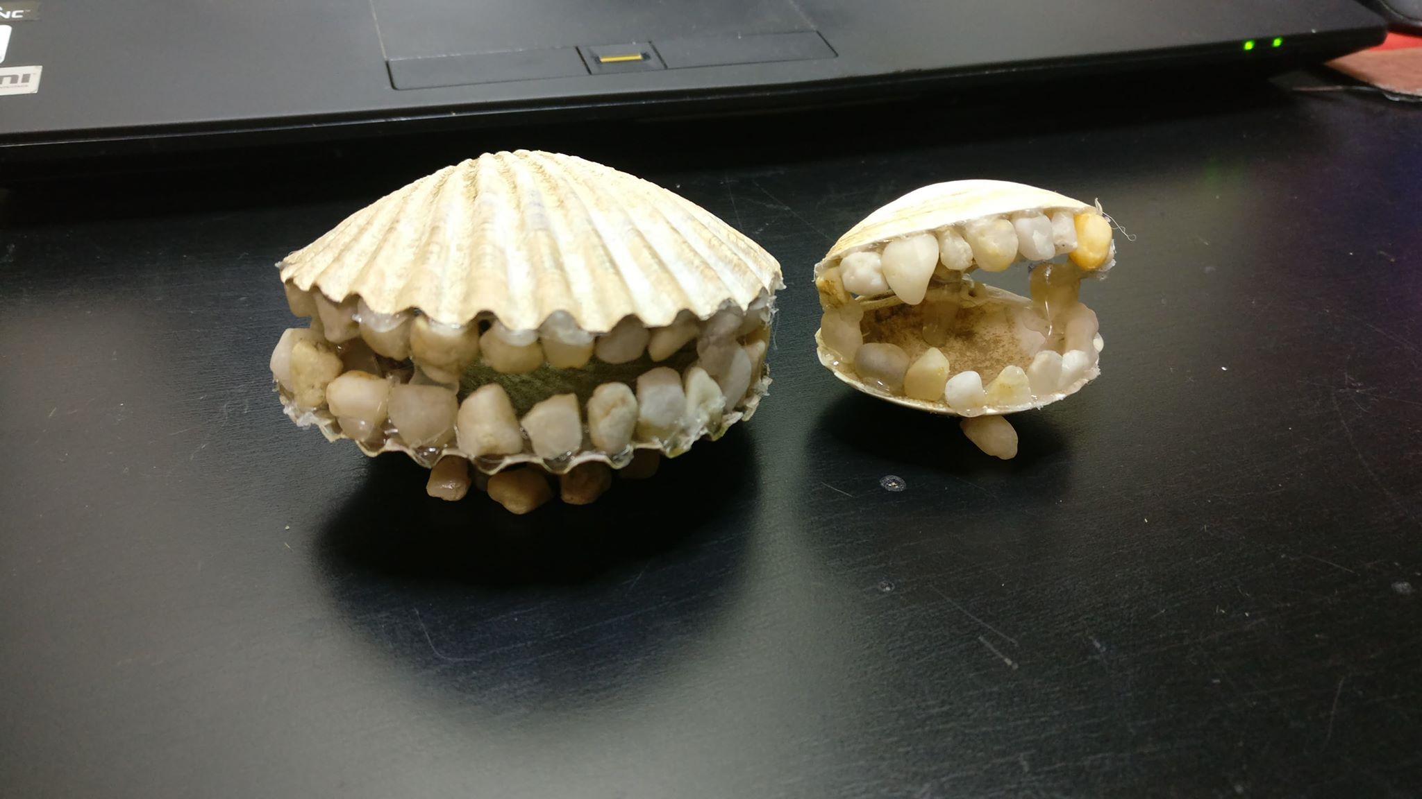 Toothy Shell Mouths : 4 Steps - Instructables