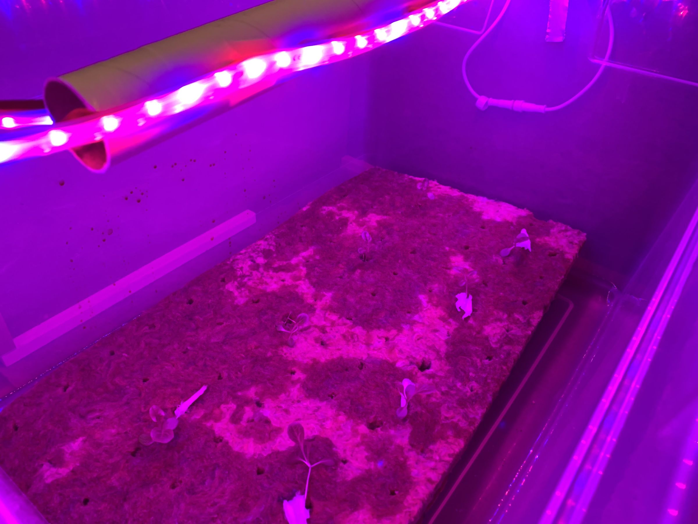 GAIA - Growing Beyond Earth Maker Contest : 15 Steps - Instructables