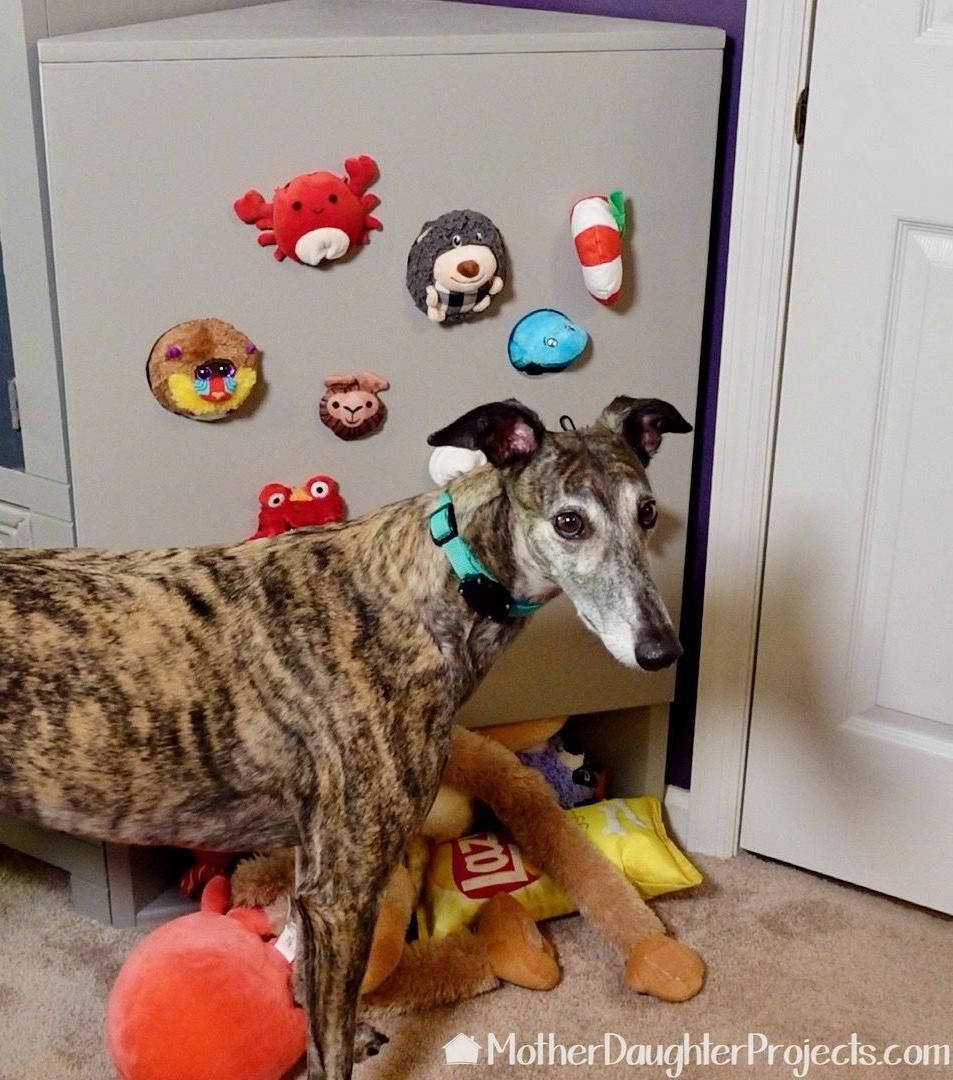 Interactive Toy Storage for Your Pup! : 6 Steps (with Pictures ...