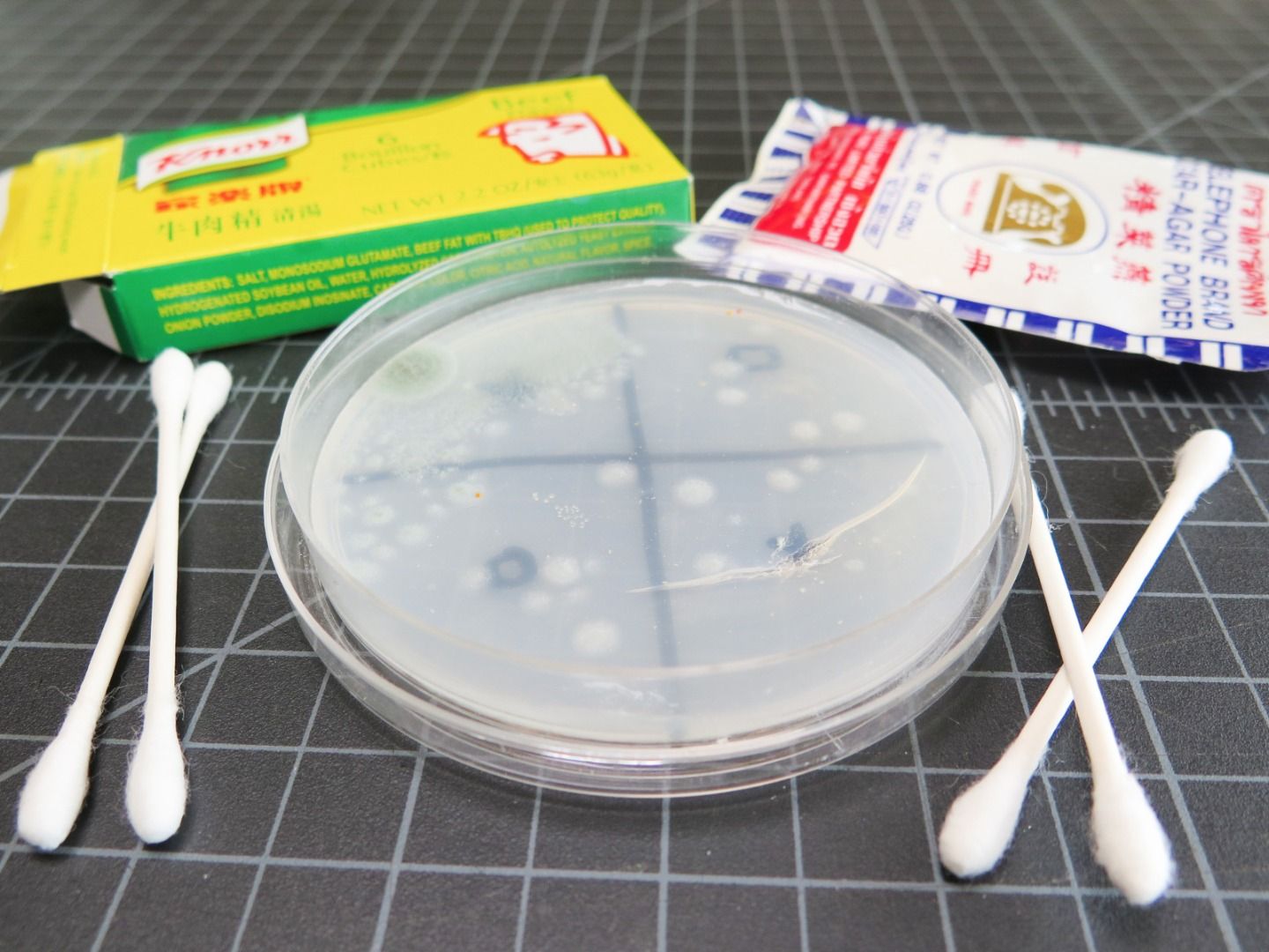 Grow Bacteria From Gross Stuff! : 6 Steps (with Pictures) - Instructables