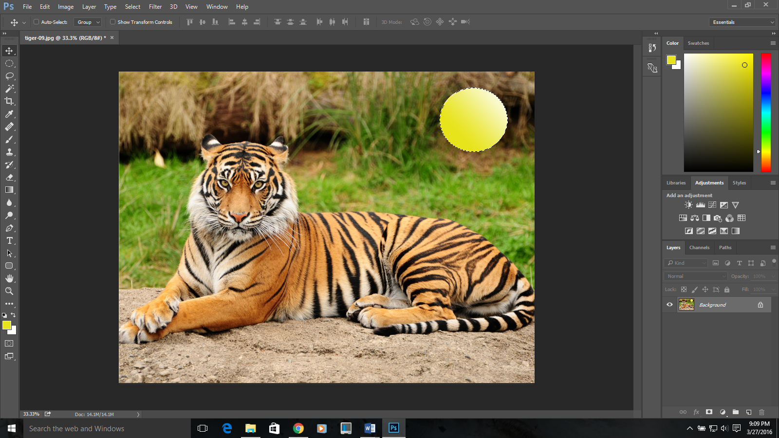 Learning the Basics of Adobe Photoshop : 6 Steps - Instructables