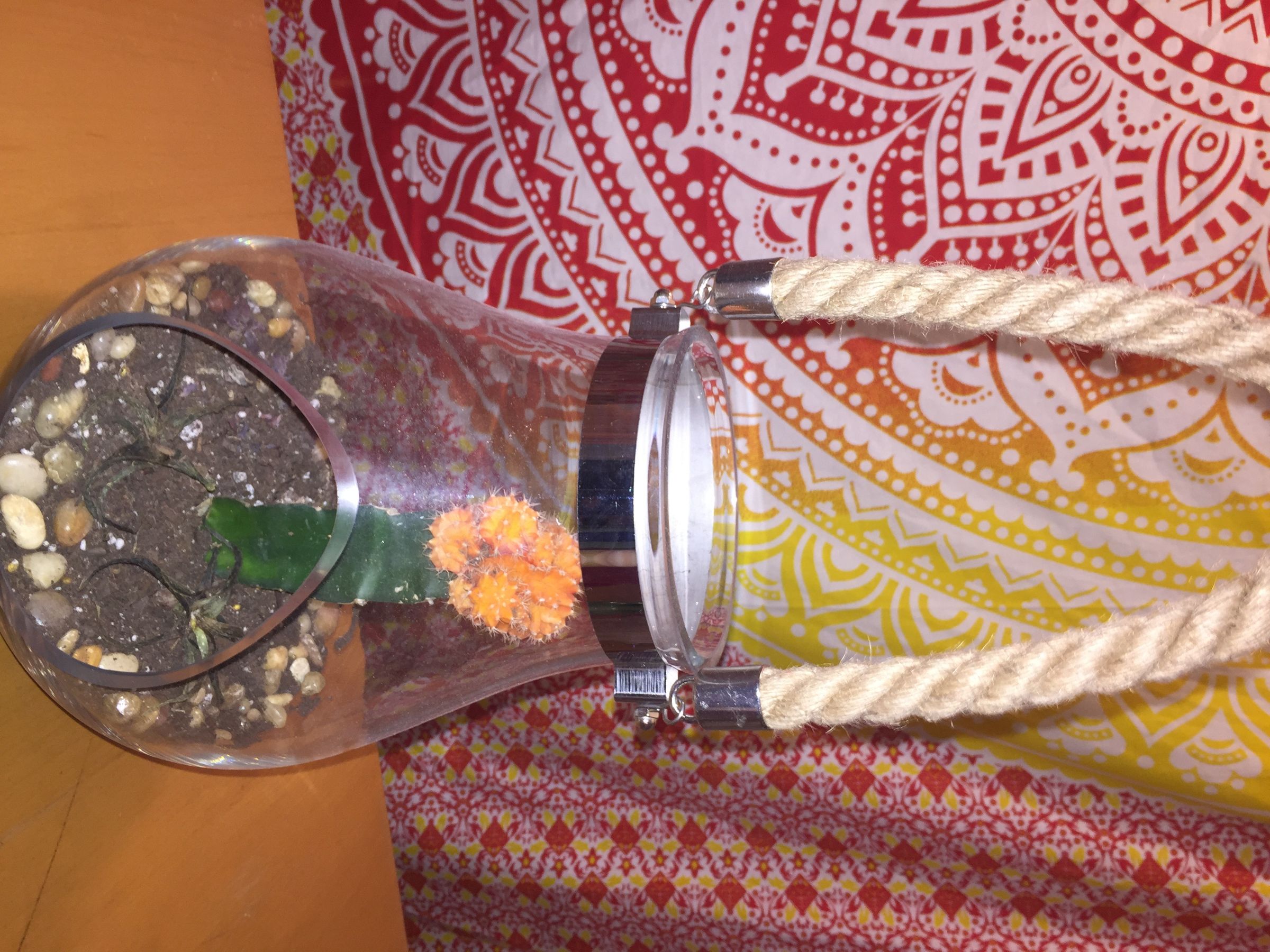 How to Create a Custom Terrarium : 4 Steps - Instructables