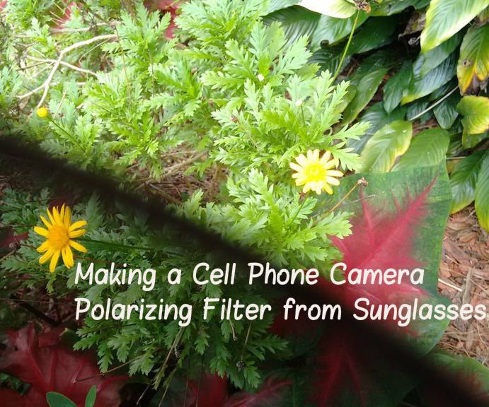 Making a Cell Phone Camera Polarizing Filter From Sunglasses : 7 Steps ...