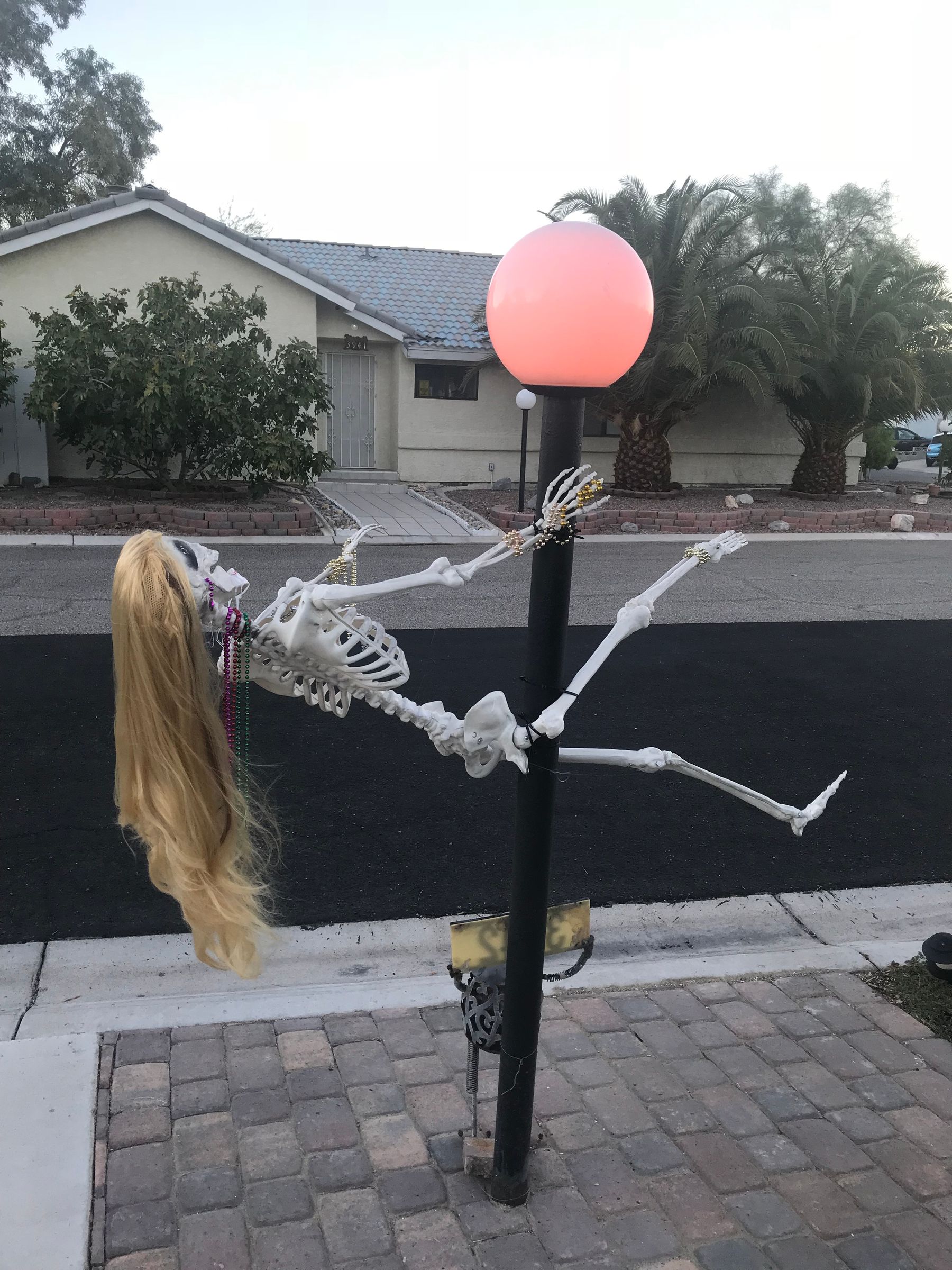 Skeleton Stripper : 4 Steps - Instructables