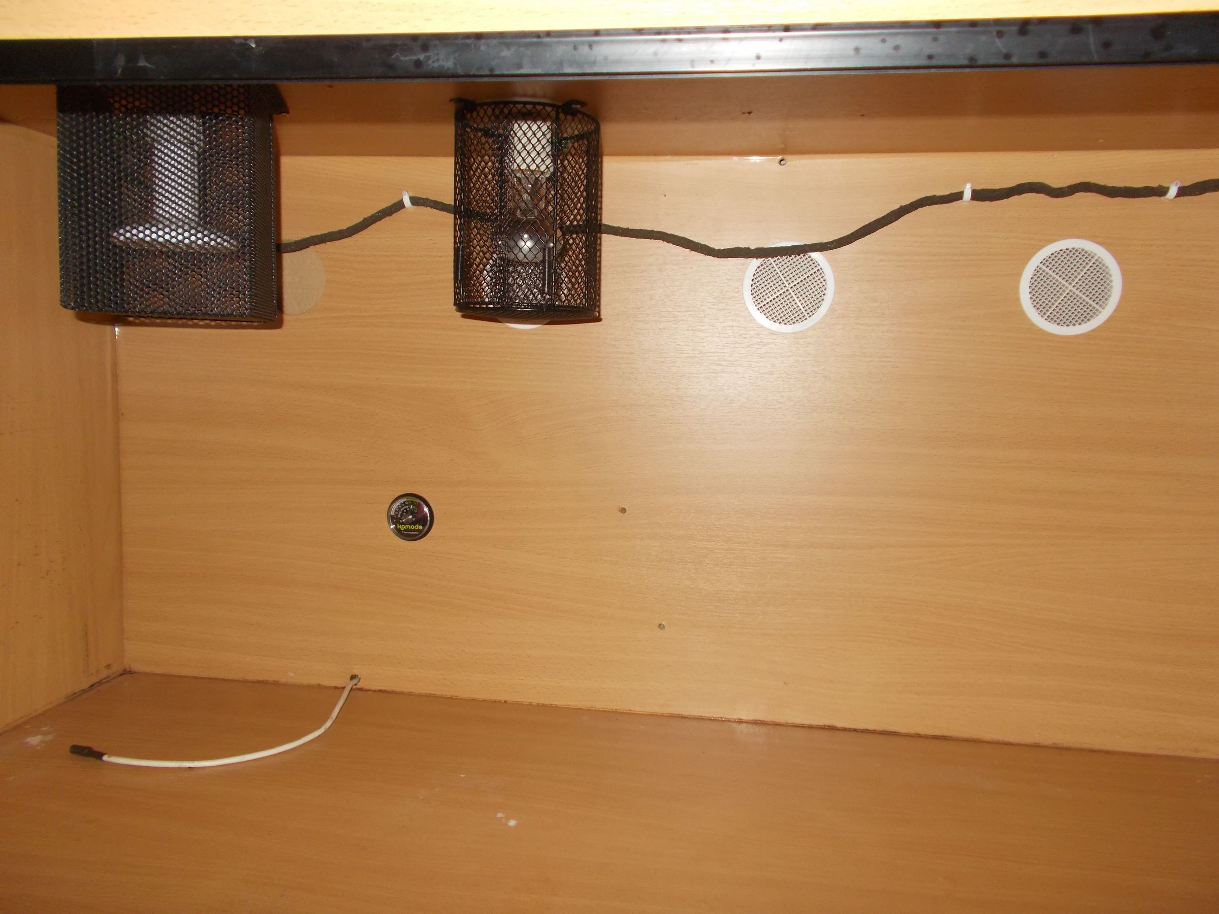 How to Setup a Snake Viv : 13 Steps - Instructables