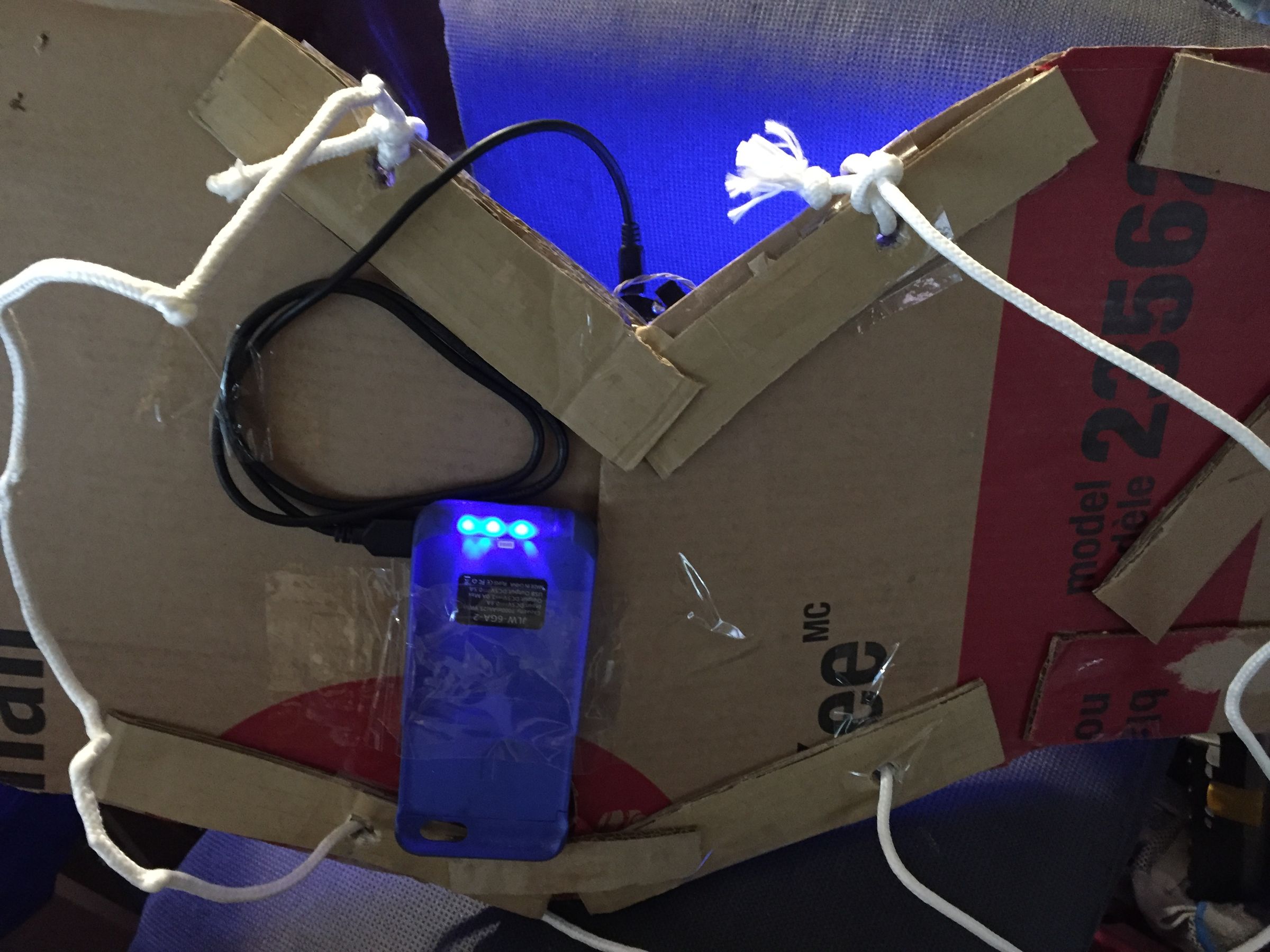 Neopixel Light Up Fire and Ice Wings : 4 Steps (with Pictures ...