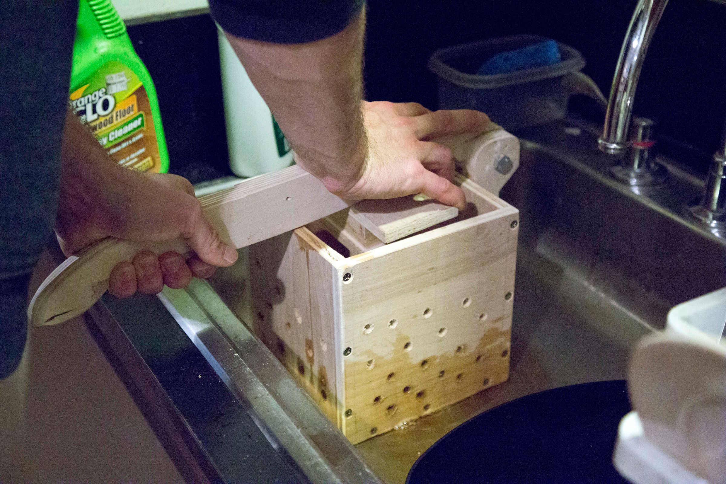 Mycelial Forms : 9 Steps (with Pictures) - Instructables