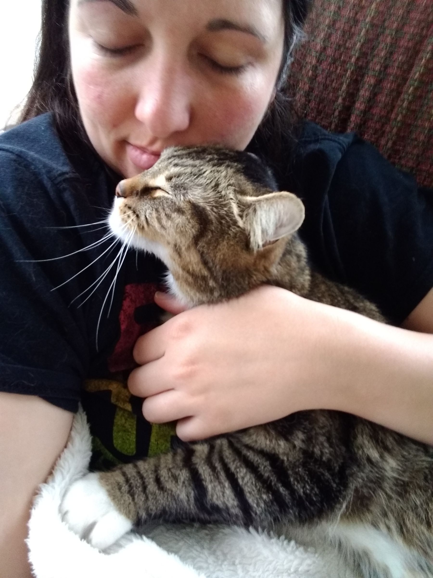 How To: Lull Your Cat to Sleep : 14 Steps (with Pictures) - Instructables