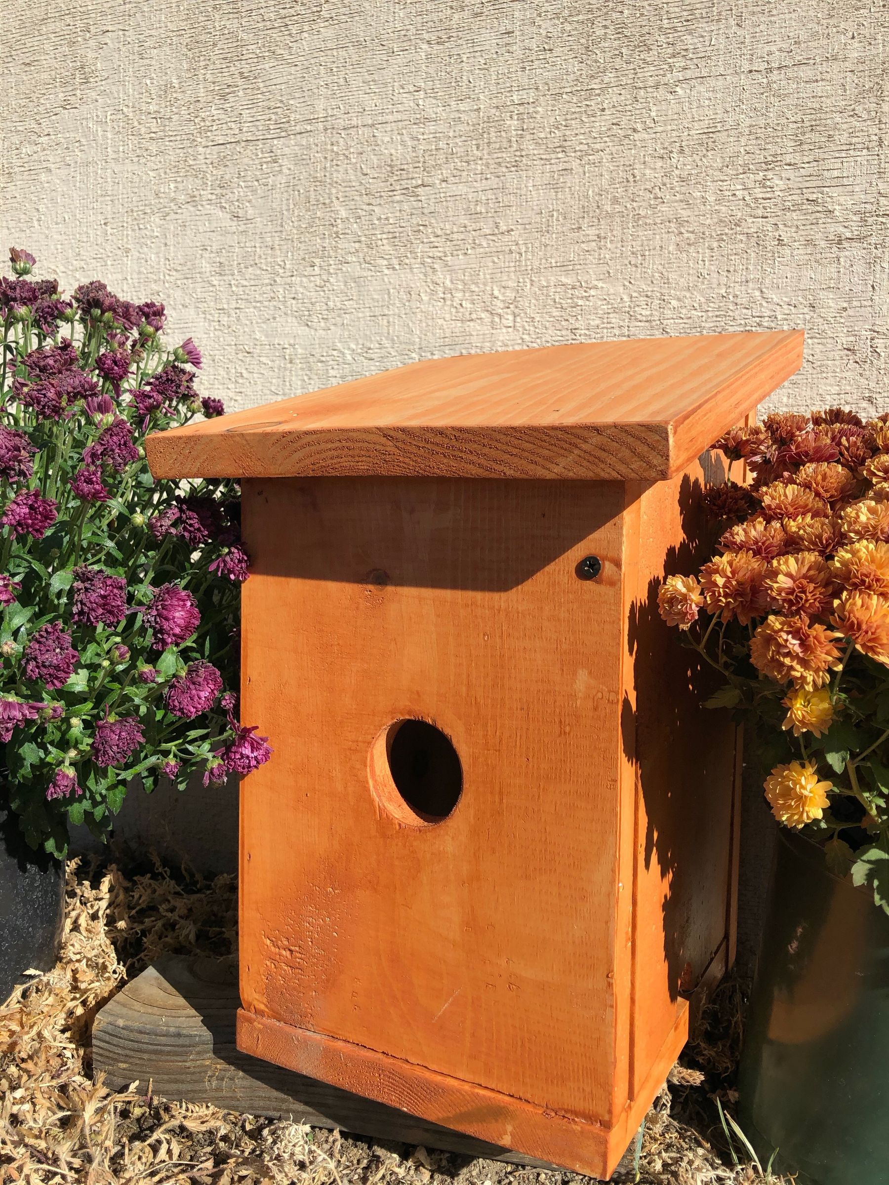 House Finch Birdhouse : 9 Steps (with Pictures) - Instructables
