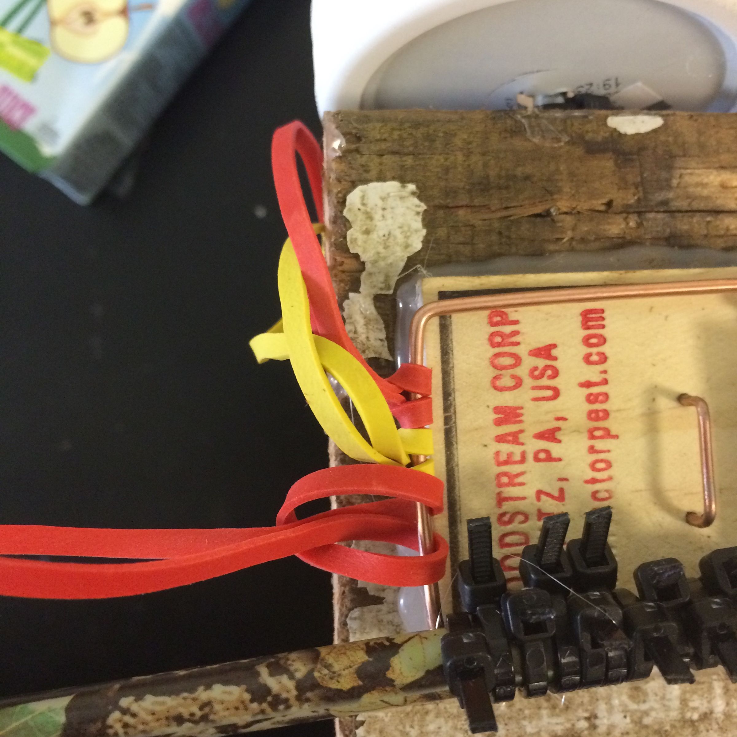 How to Build a Mouse Trap Car : 12 Steps - Instructables