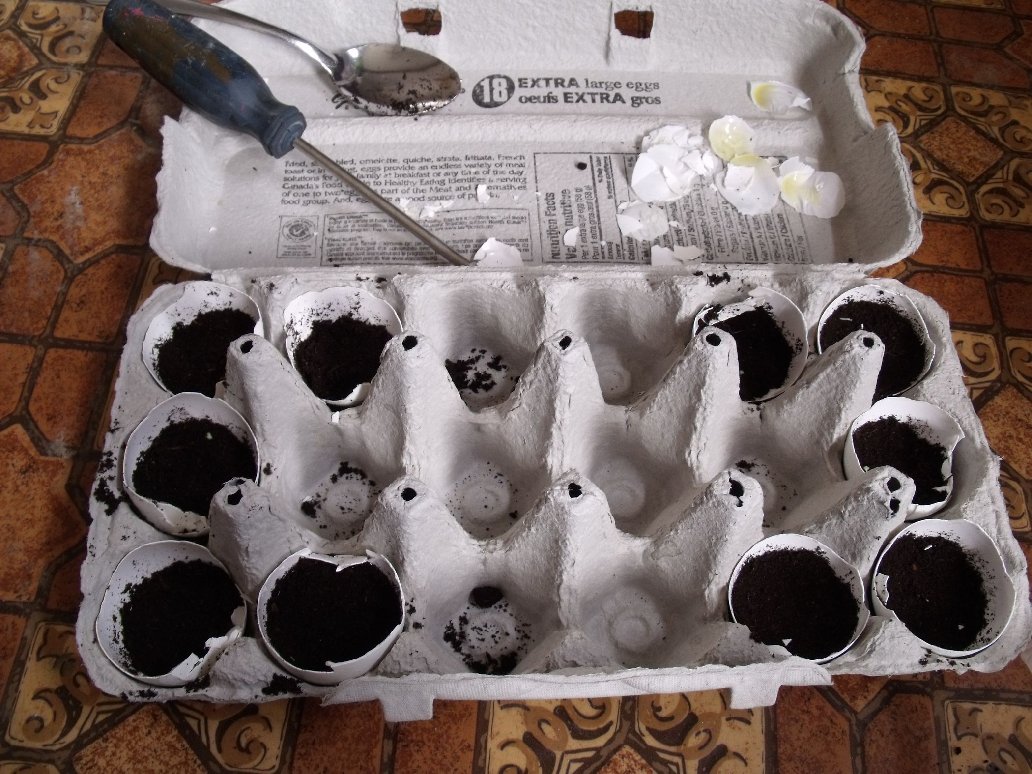 Eggshell Seed Starters : 4 Steps - Instructables