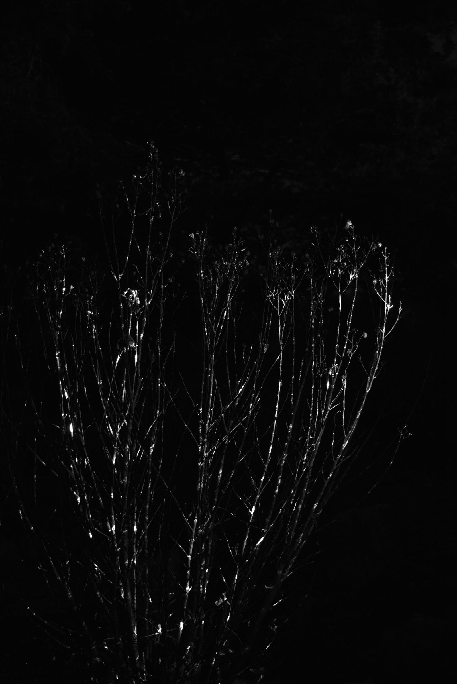 Burning Pictures on a Compact Disc Surface : 8 Steps (with Pictures ...