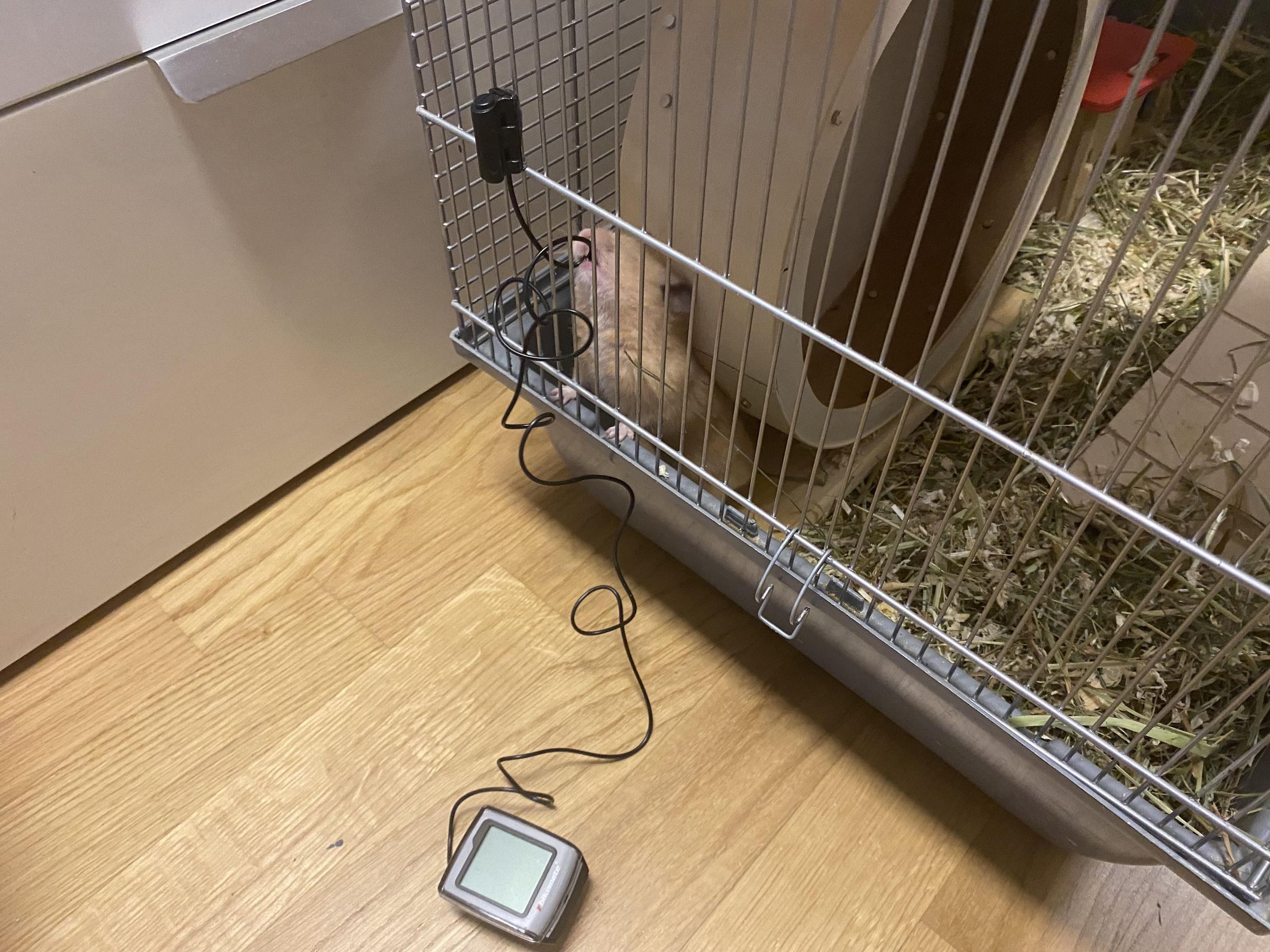 Hamster Wheel Tracker : 7 Steps - Instructables