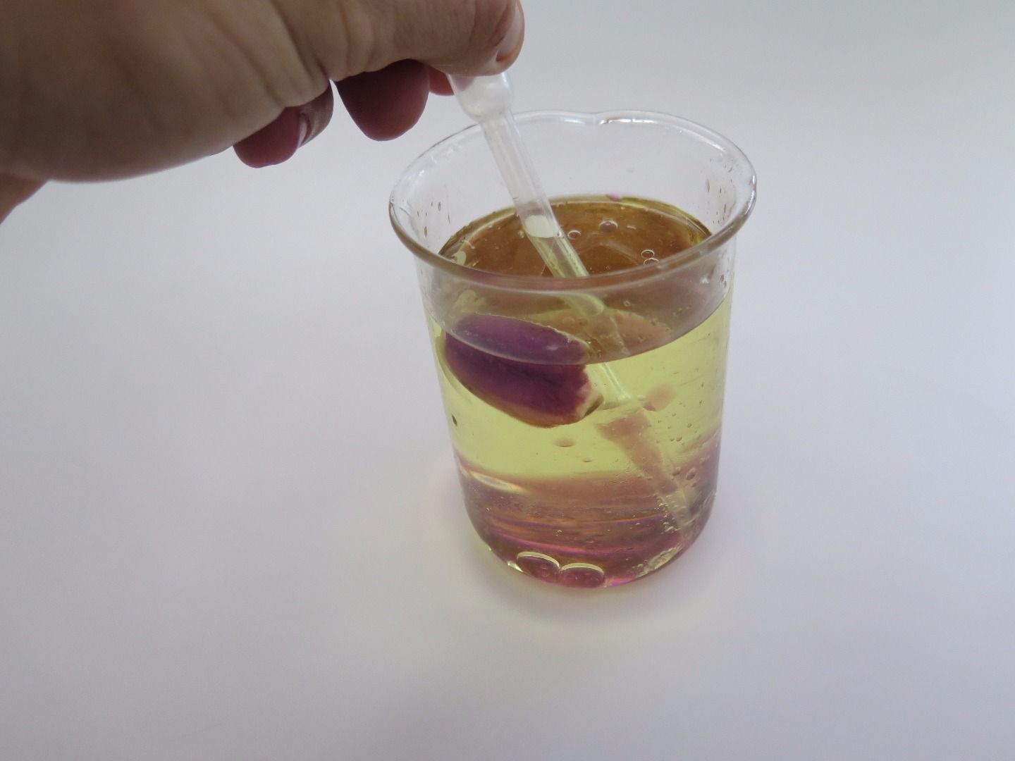 Oil and Ice Density Experiment : 4 Steps (with Pictures) - Instructables