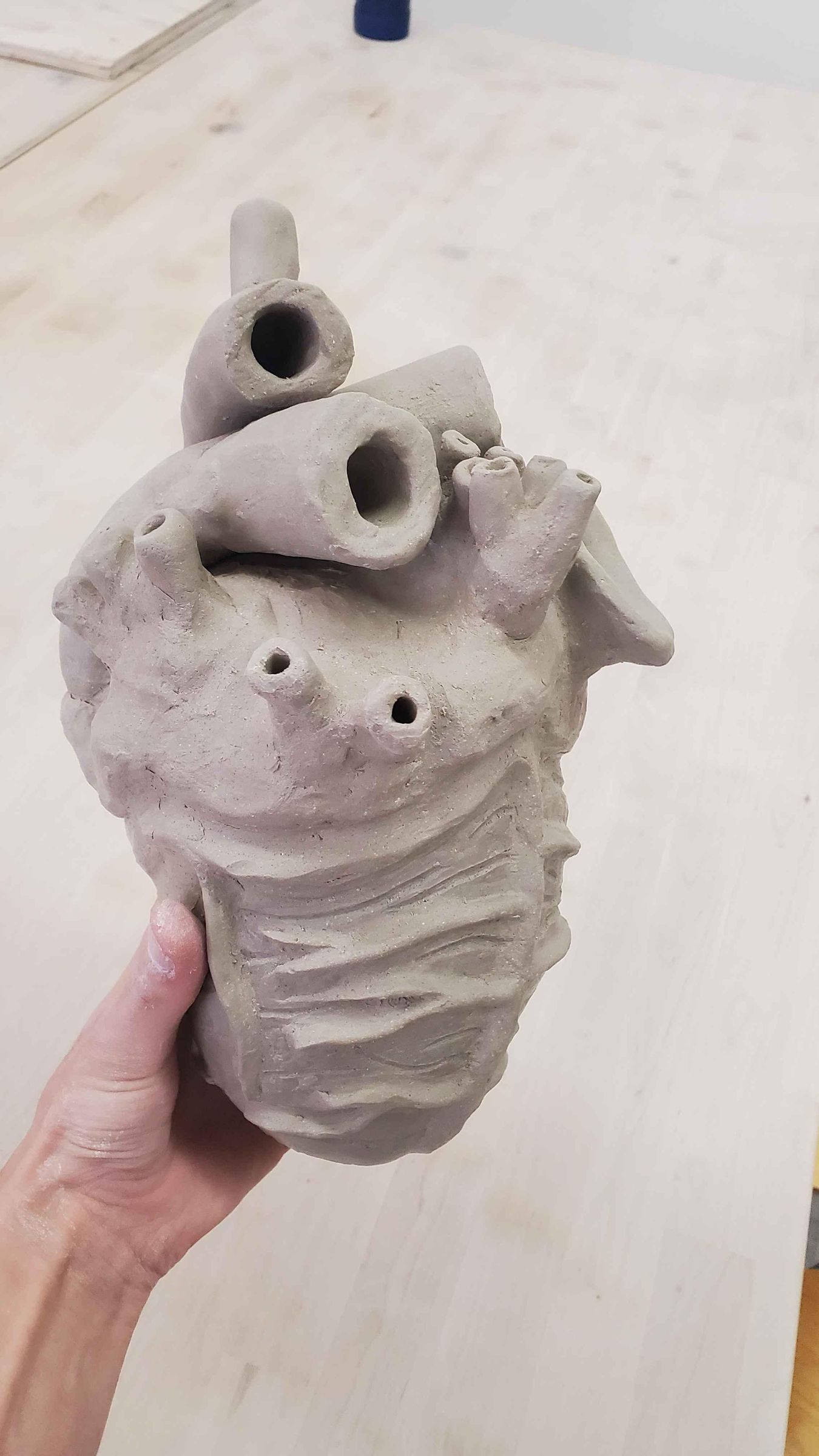 Anatomically Correct Heart - Clay : 11 Steps (with Pictures ...