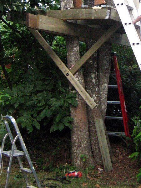 Build Simple Treehouse
