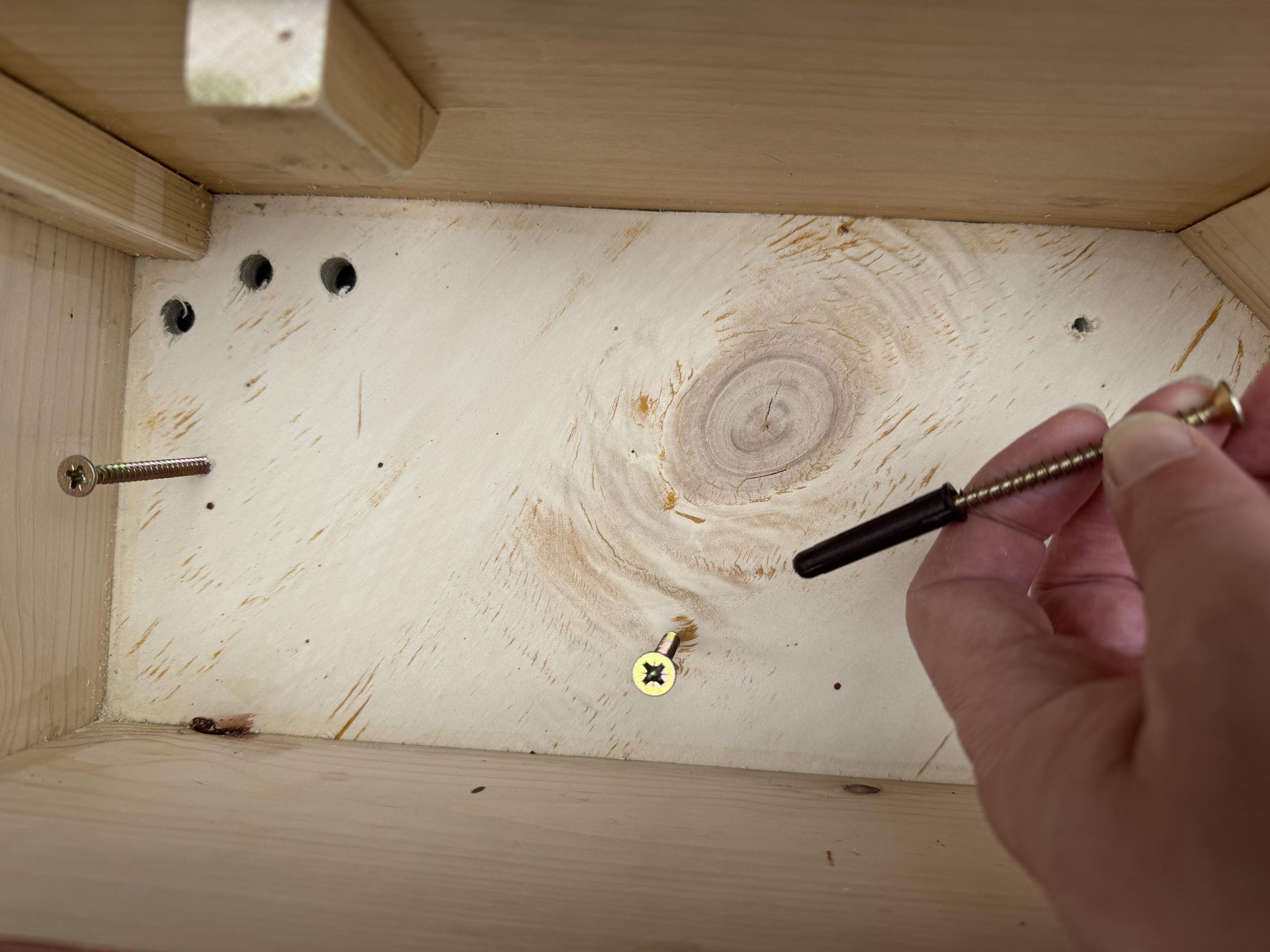 Side View Bird Box Camera and BlueTit Diary : 70 Steps (with Pictures ...