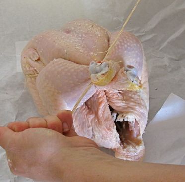 How to Truss a Chicken : 6 Steps (with Pictures) - Instructables