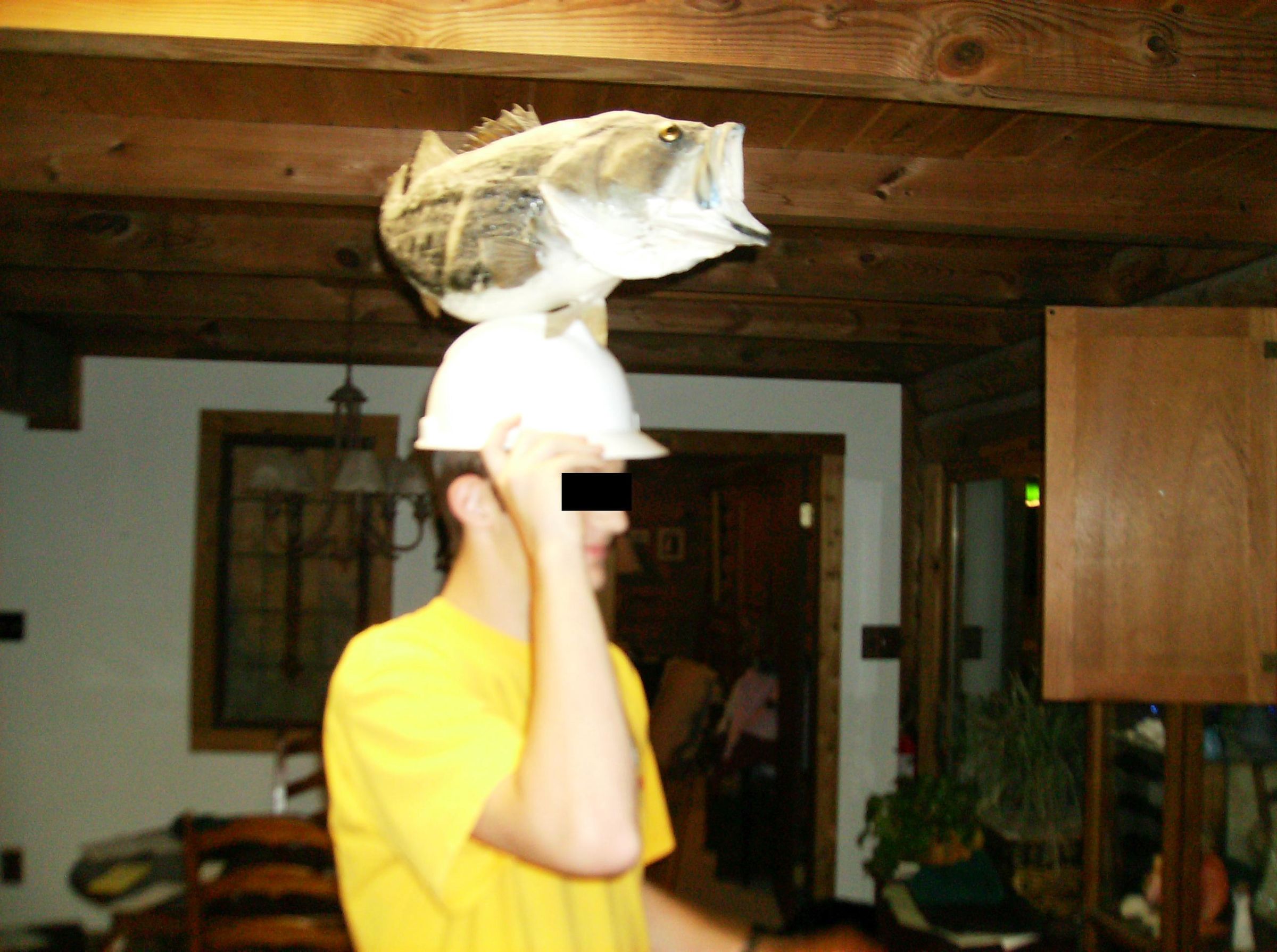 The Taxidermied Fish Helmet! : 5 Steps (with Pictures) - Instructables