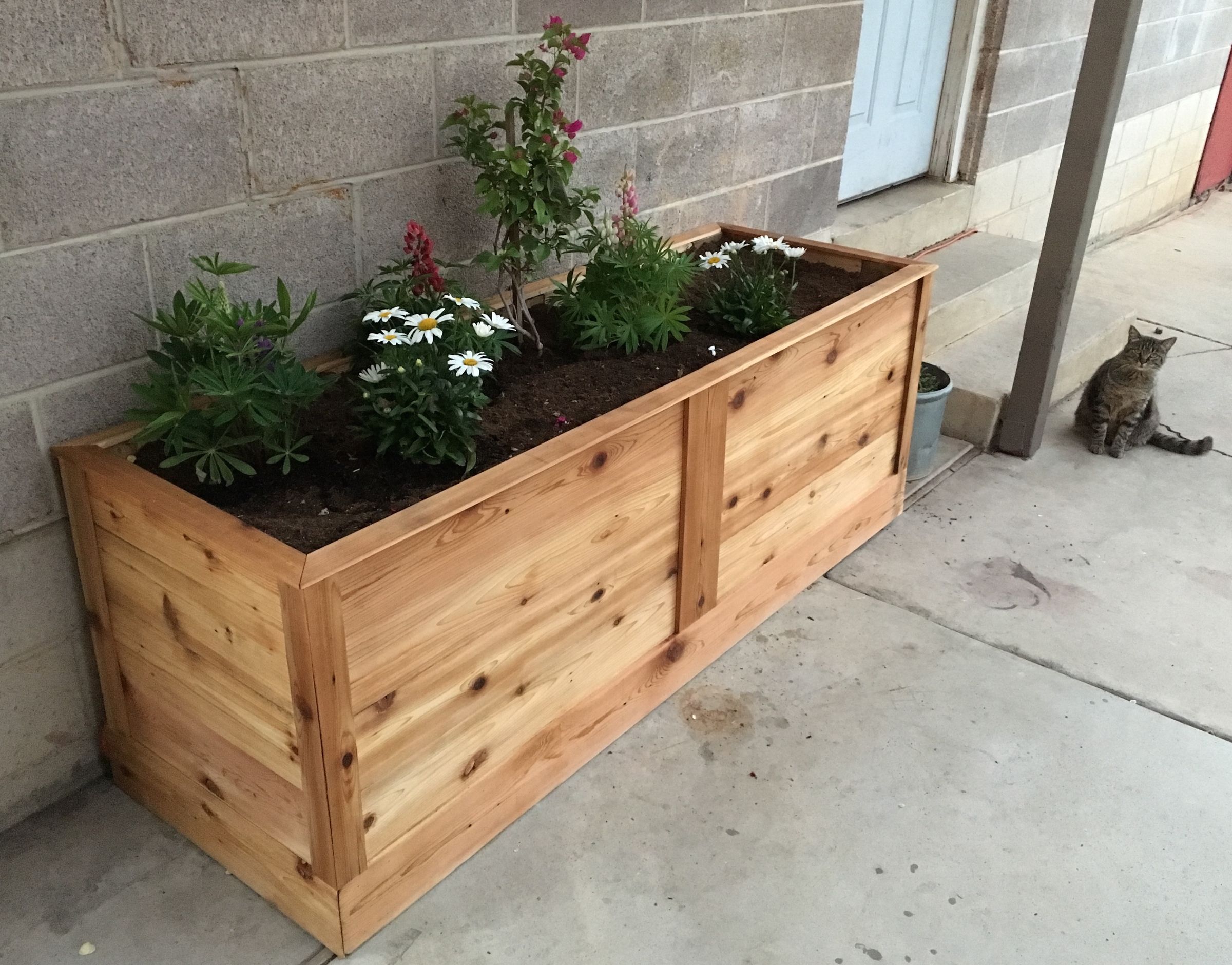 Reclaimed Planter Box : 7 Steps (with Pictures) - Instructables