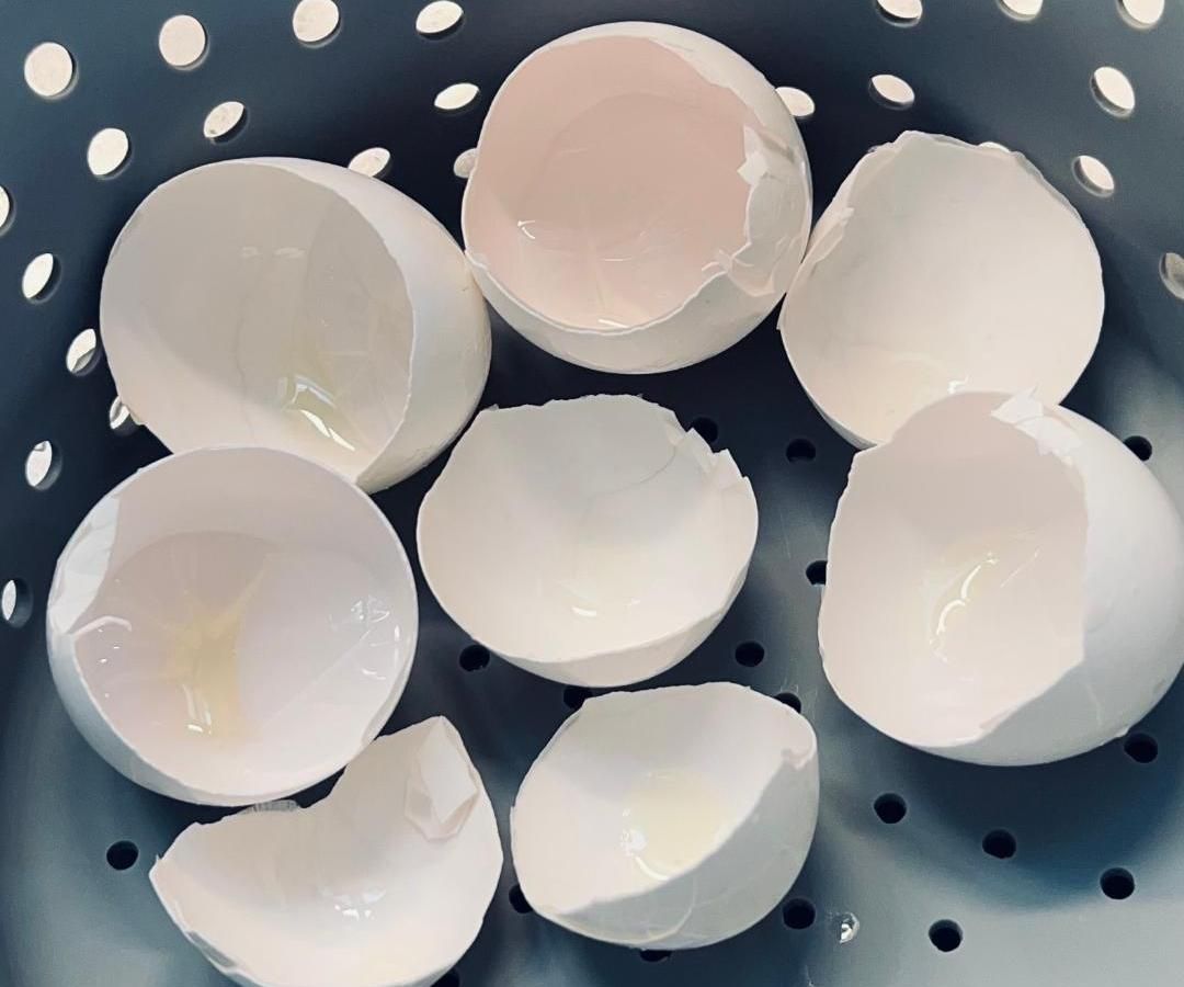 Healthful Egg Shells! : 9 Steps (with Pictures) - Instructables