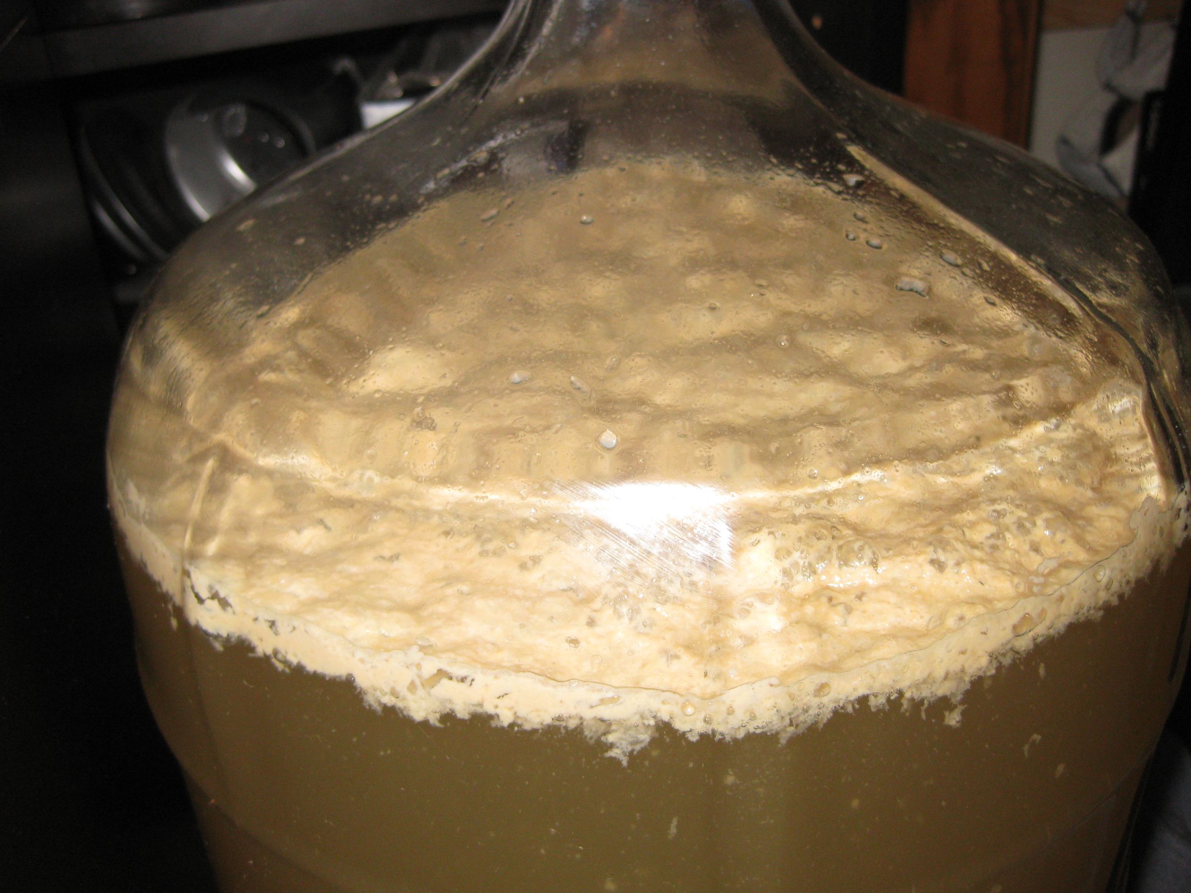 How to Make Mead (Honey Wine) : 17 Steps (with Pictures) - Instructables