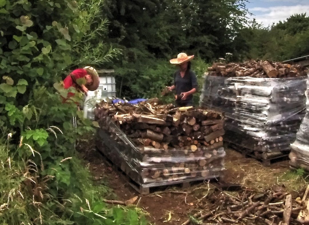 How to Stack and Ventilate Firewood With Pallet Wrap : 18 Steps (with ...