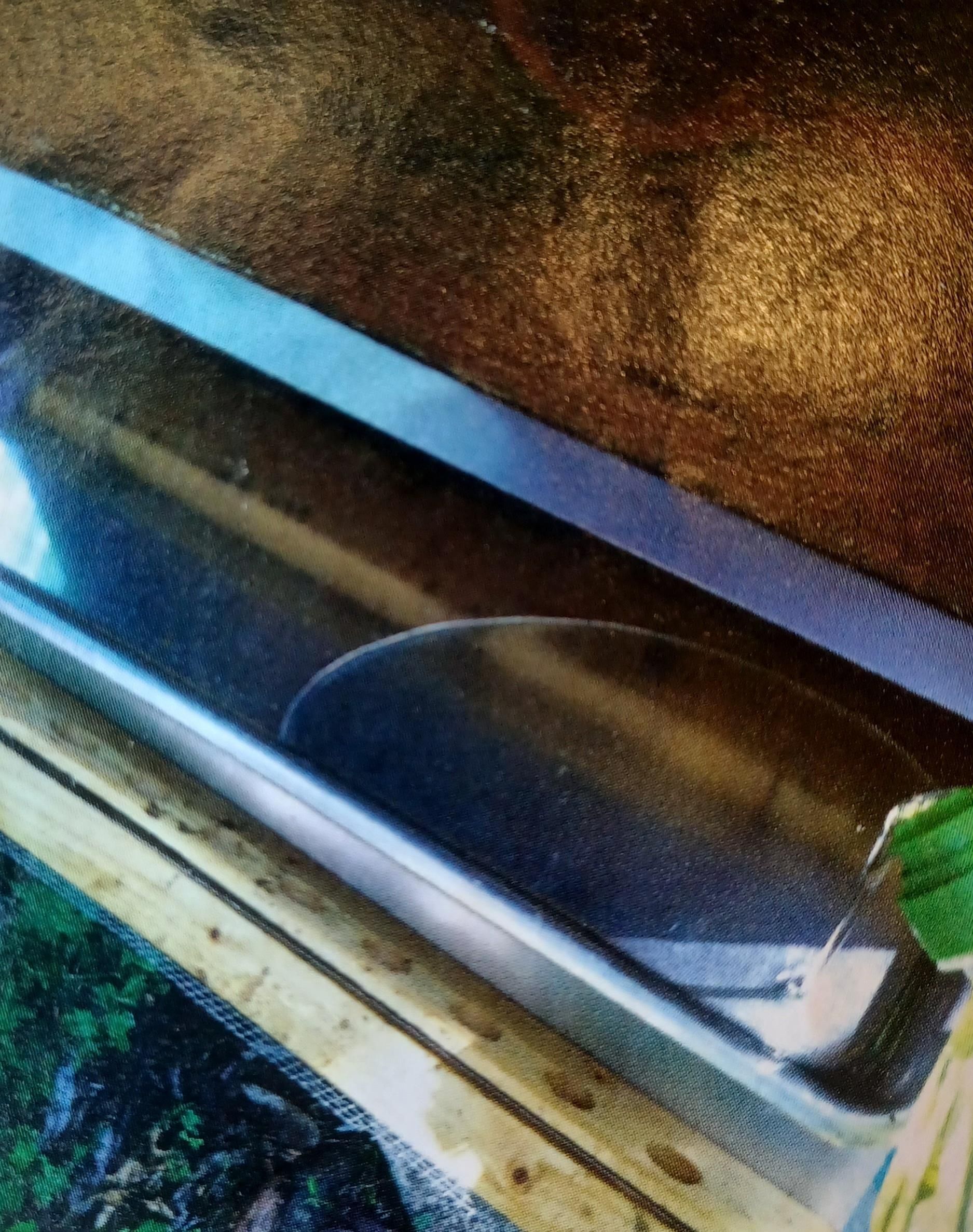 Blue Ribbon Beetle Trapping Bottom Board : 45 Steps (with Pictures ...