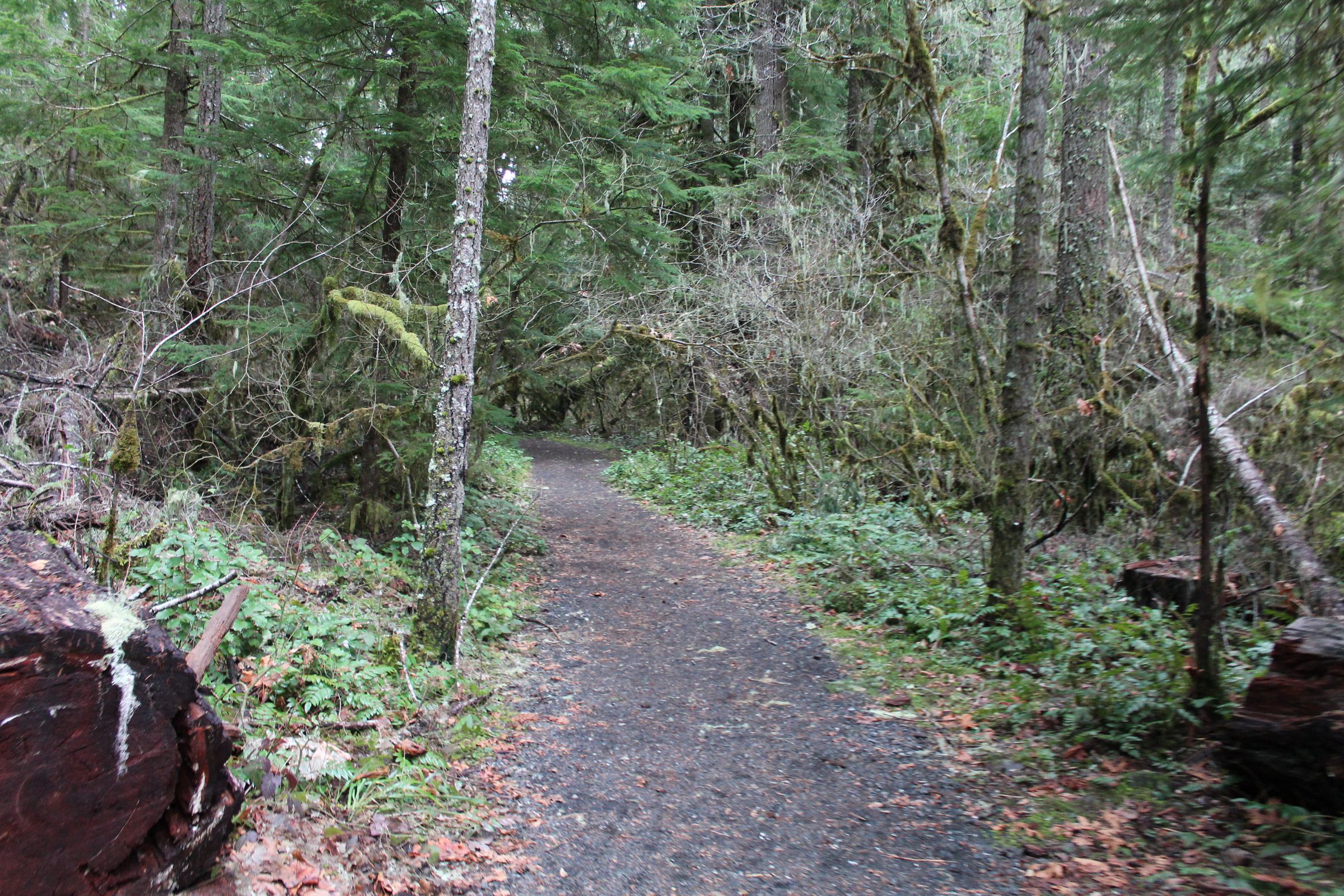 Letterboxing: the Secret Scavenger Hunt Game : 12 Steps (with Pictures ...