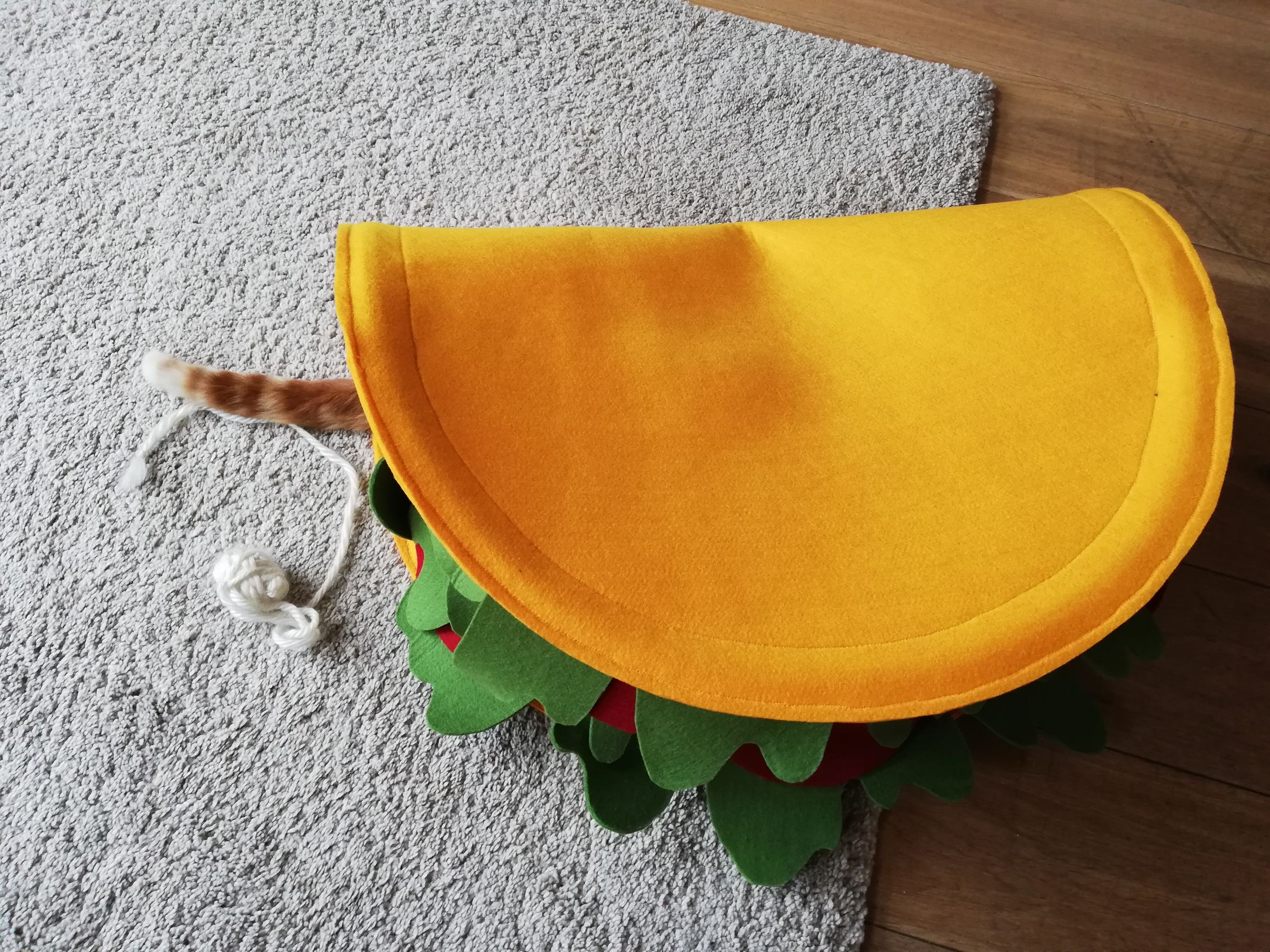 TacoCat : 3 Steps (with Pictures) - Instructables