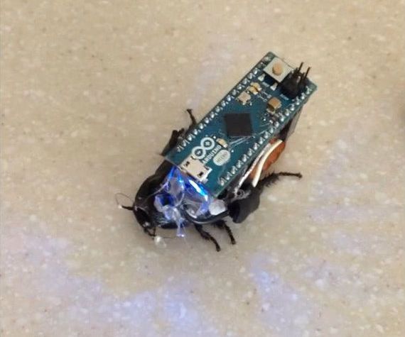 Control a Cockroach With Arduino for Under $30 : 6 Steps - Instructables