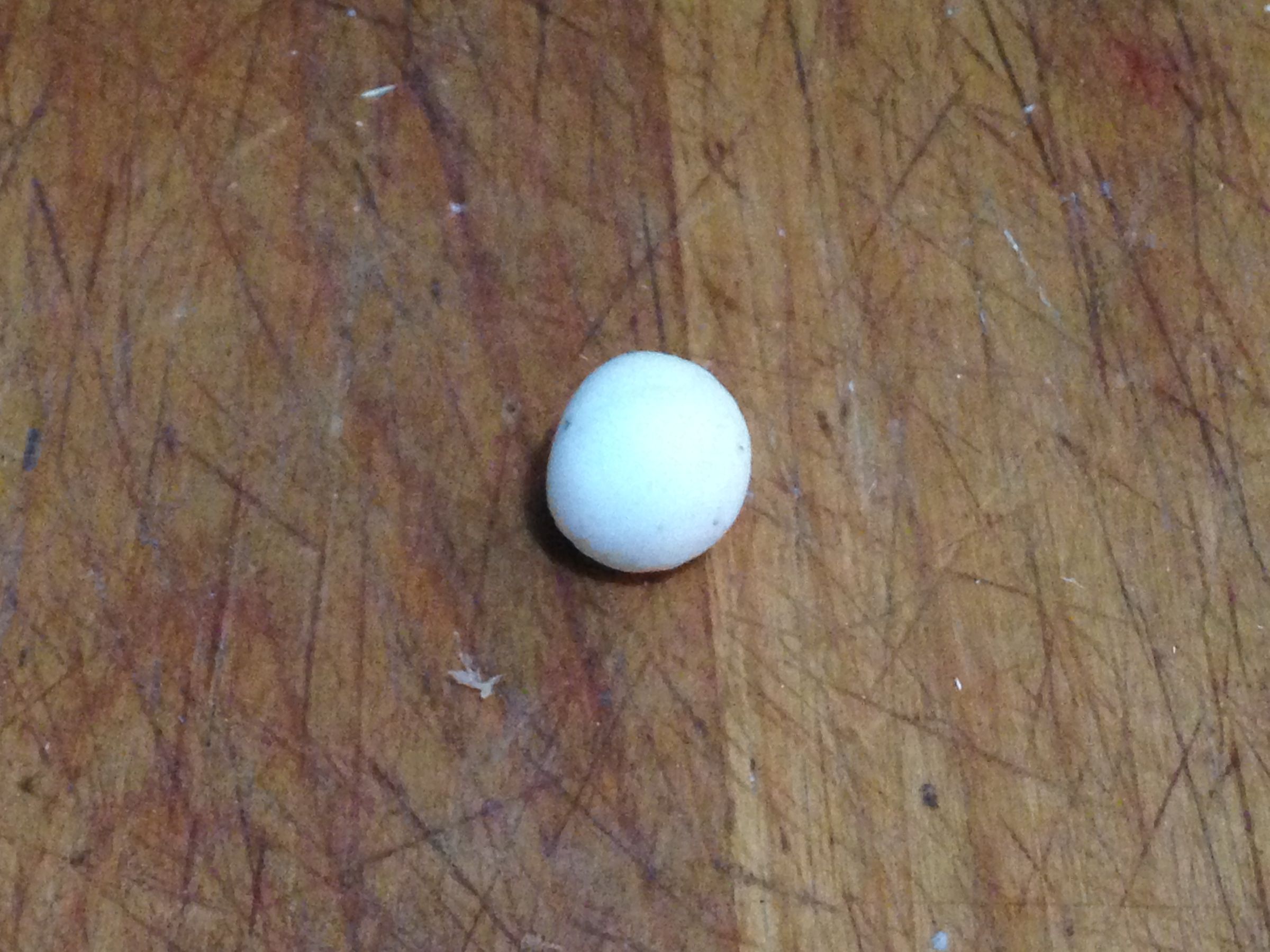 Decorating Corgi Cookies - Instructables