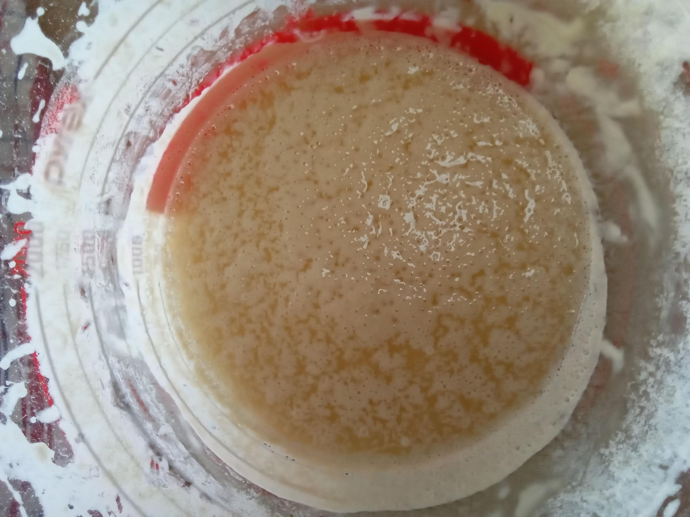 Herman the German Friendship Cake : 7 Steps (with Pictures) - Instructables