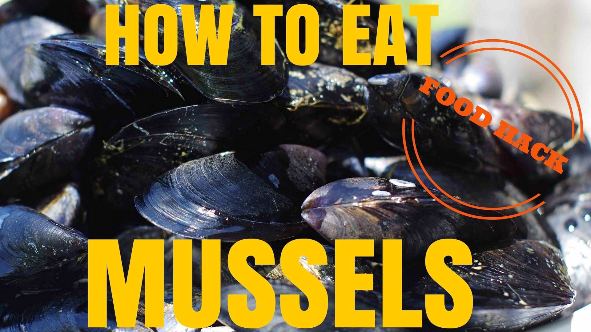 Food Hack - the Proper Way to Eat Mussels (with Pictures) - Instructables