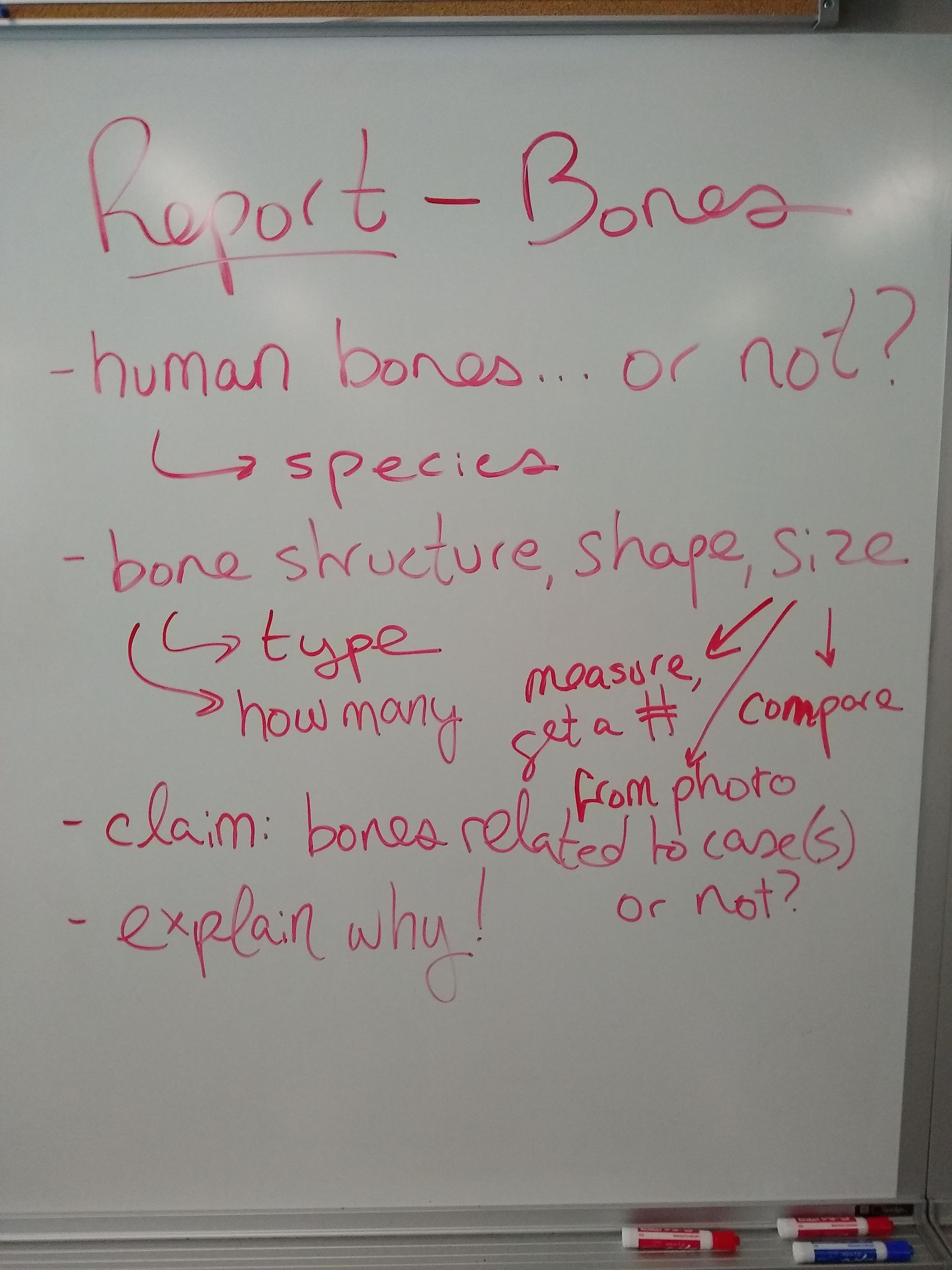 Forensic Anthropology With 3D Printed Bones : 8 Steps (with Pictures ...
