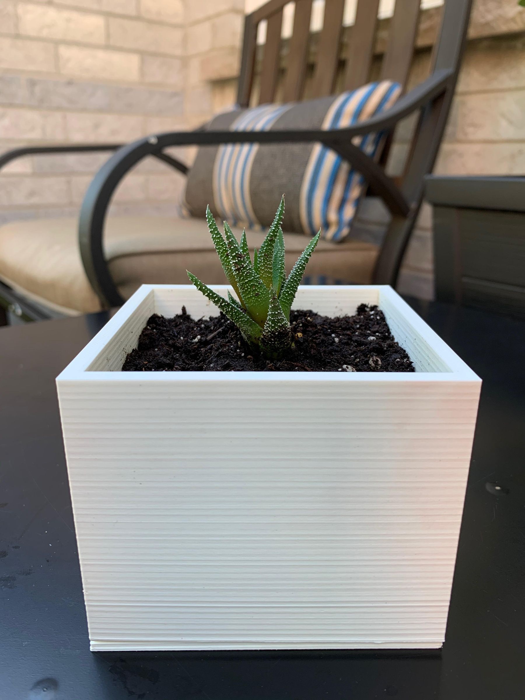 Succulent Planter With Secret Compartment : 4 Steps - Instructables
