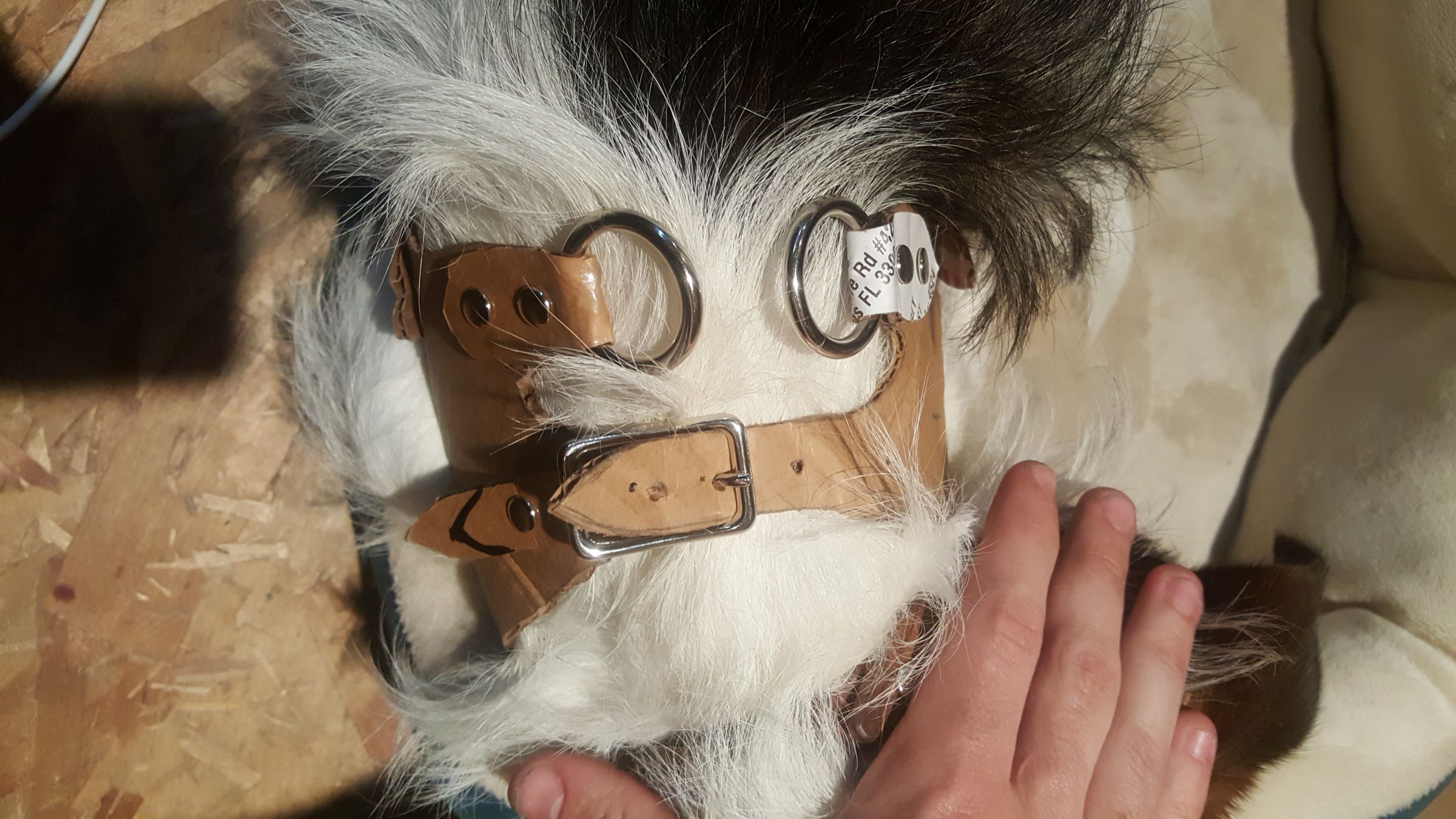 Making a Custom Leather Dog Harness : 17 Steps (with Pictures ...