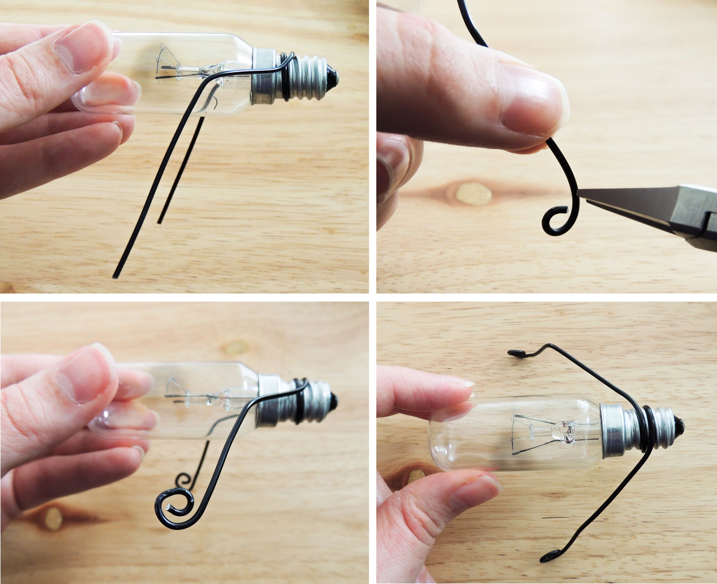 DIY Light Bulb Bugs : 6 Steps (with Pictures) - Instructables