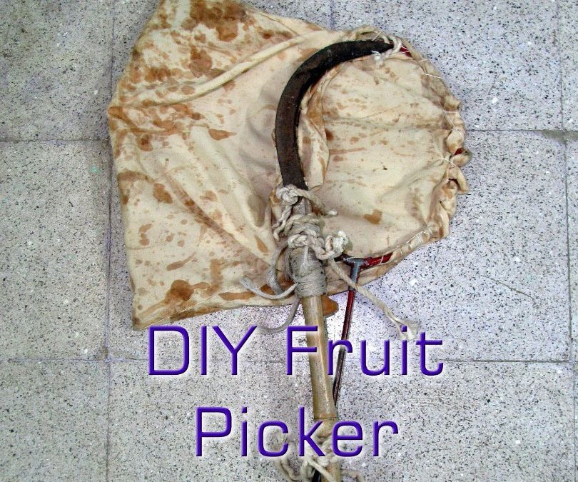 DIY Fruit Picker : 3 Steps - Instructables
