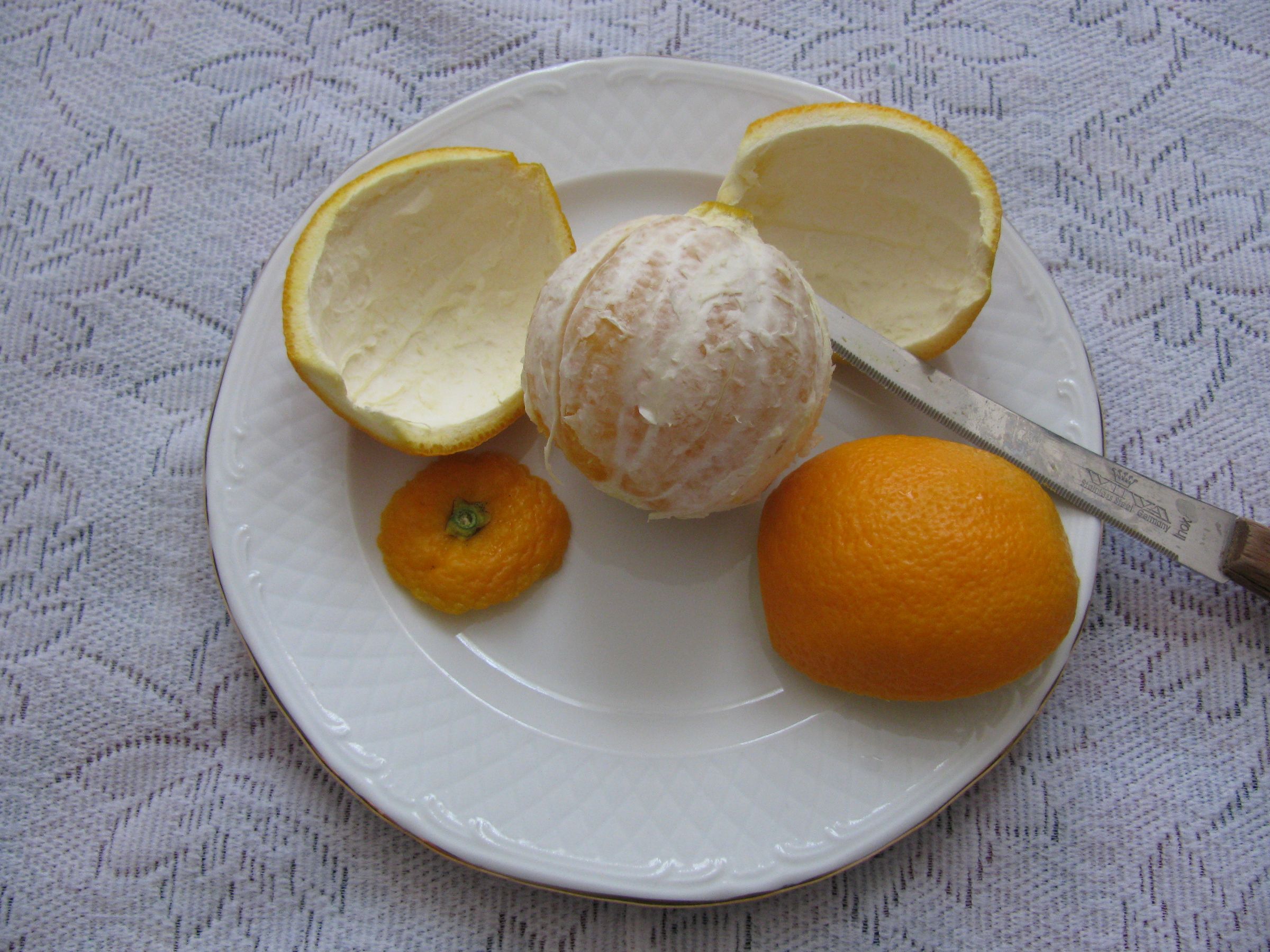 Orange Peel Chain : 8 Steps (with Pictures) - Instructables