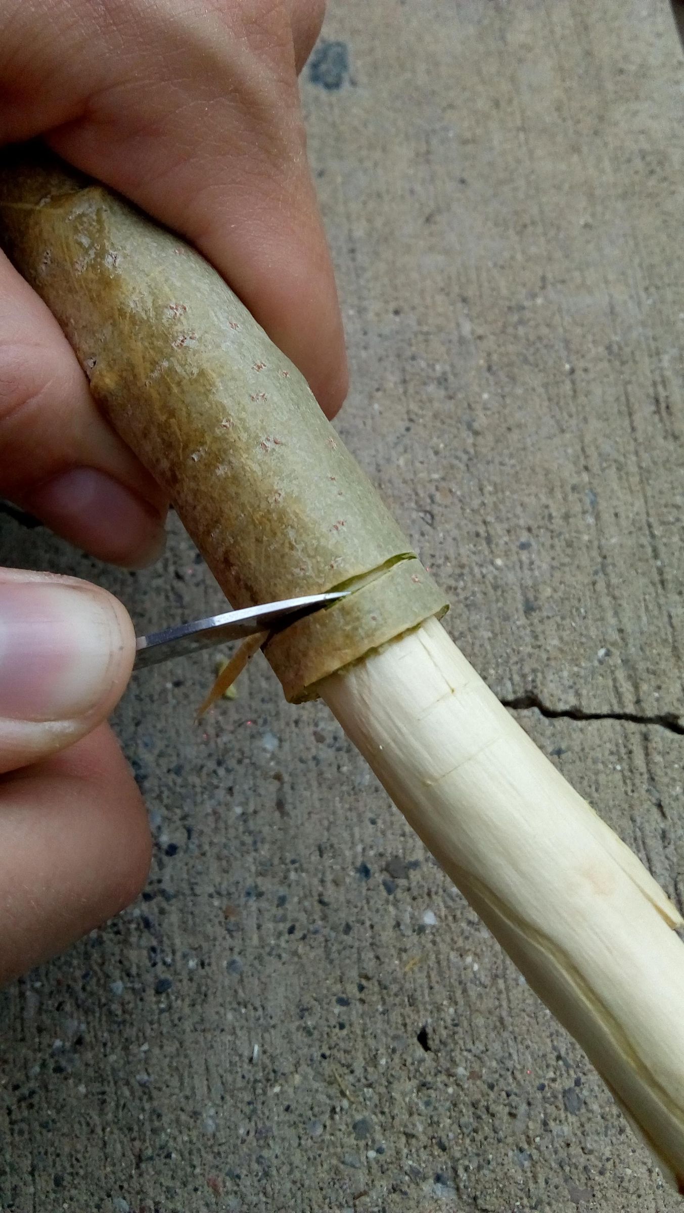 Tree Bark Rings : 5 Steps (with Pictures) - Instructables