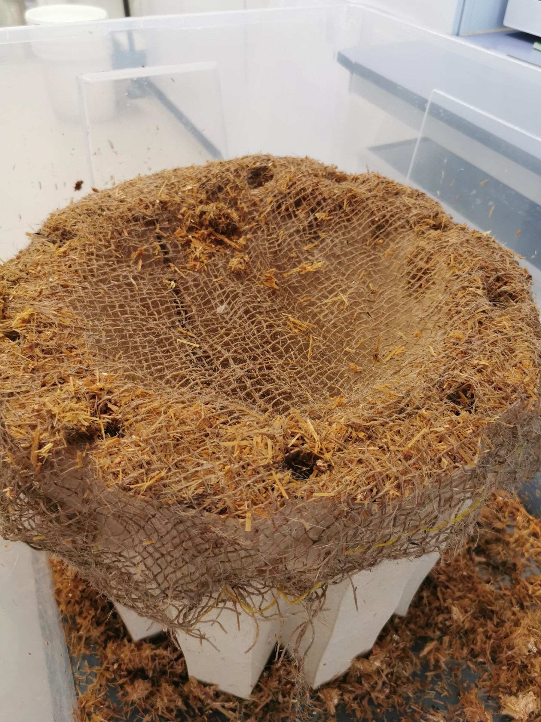 3D Printed and Mycelium Grown Beehives : 9 Steps (with Pictures) - Instructables