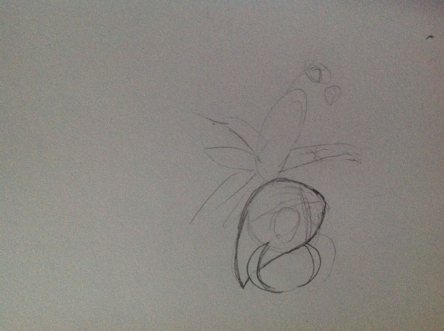 How to Draw Celebi ~Two Ways~ : 5 Steps - Instructables