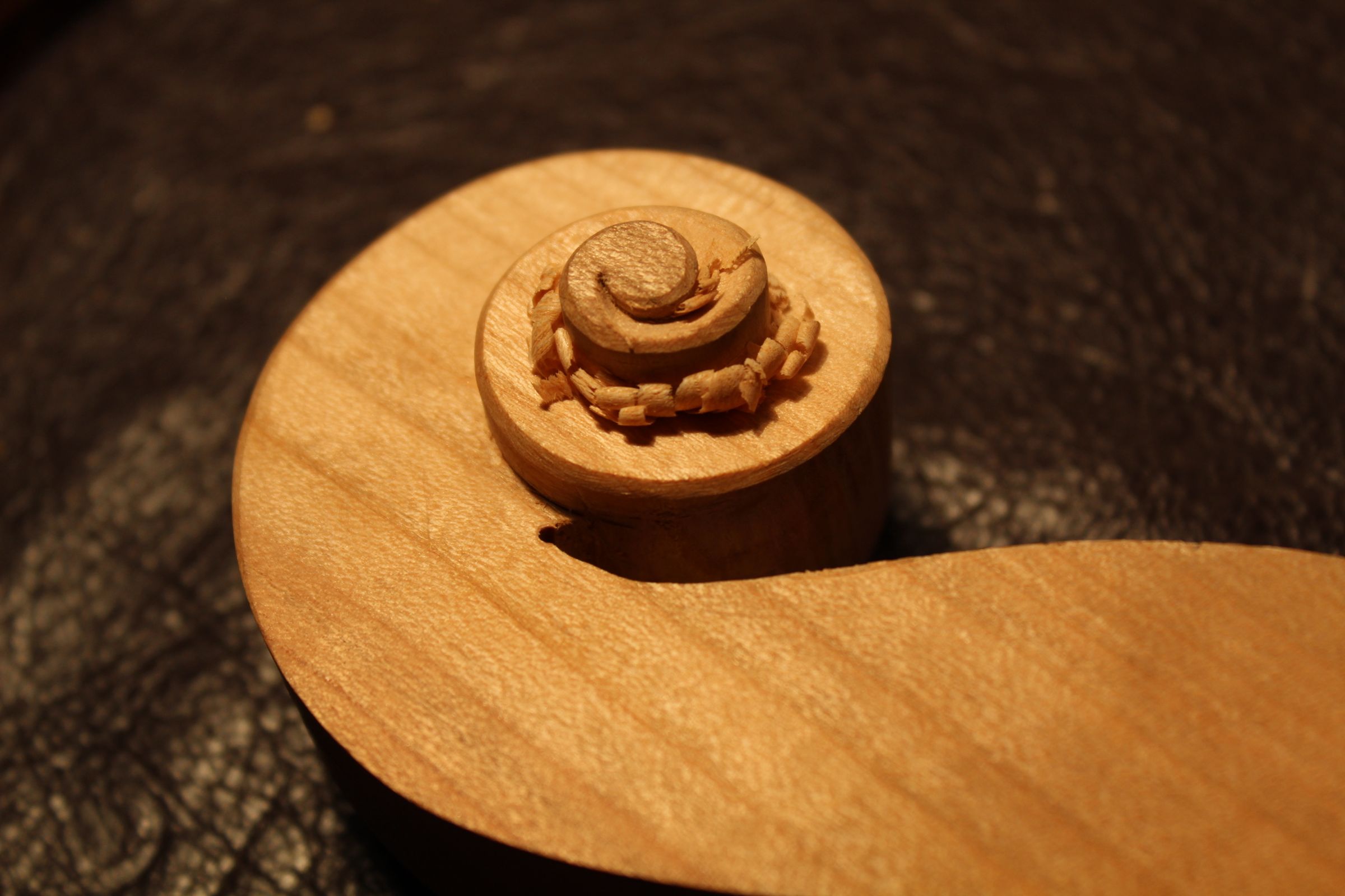 The Birth of a Volute : 7 Steps (with Pictures) - Instructables